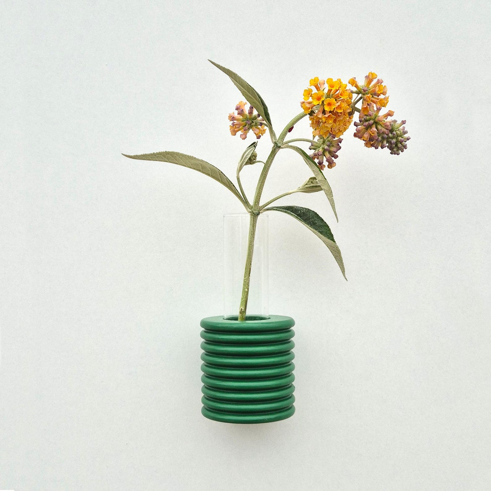 Colorful Wooden Ribble Wall Vases — 7 Color Options (USA Stock) - Etsy