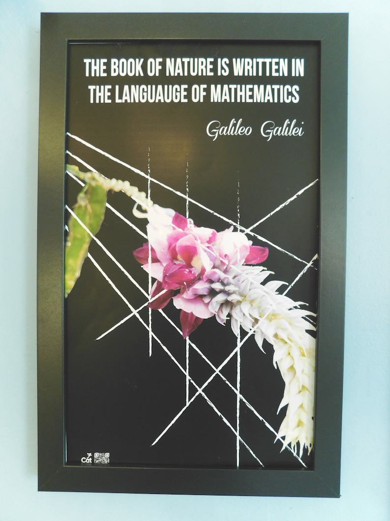 Galileo Quote Art Poster: Math & Nature Classroom Decor - Etsy