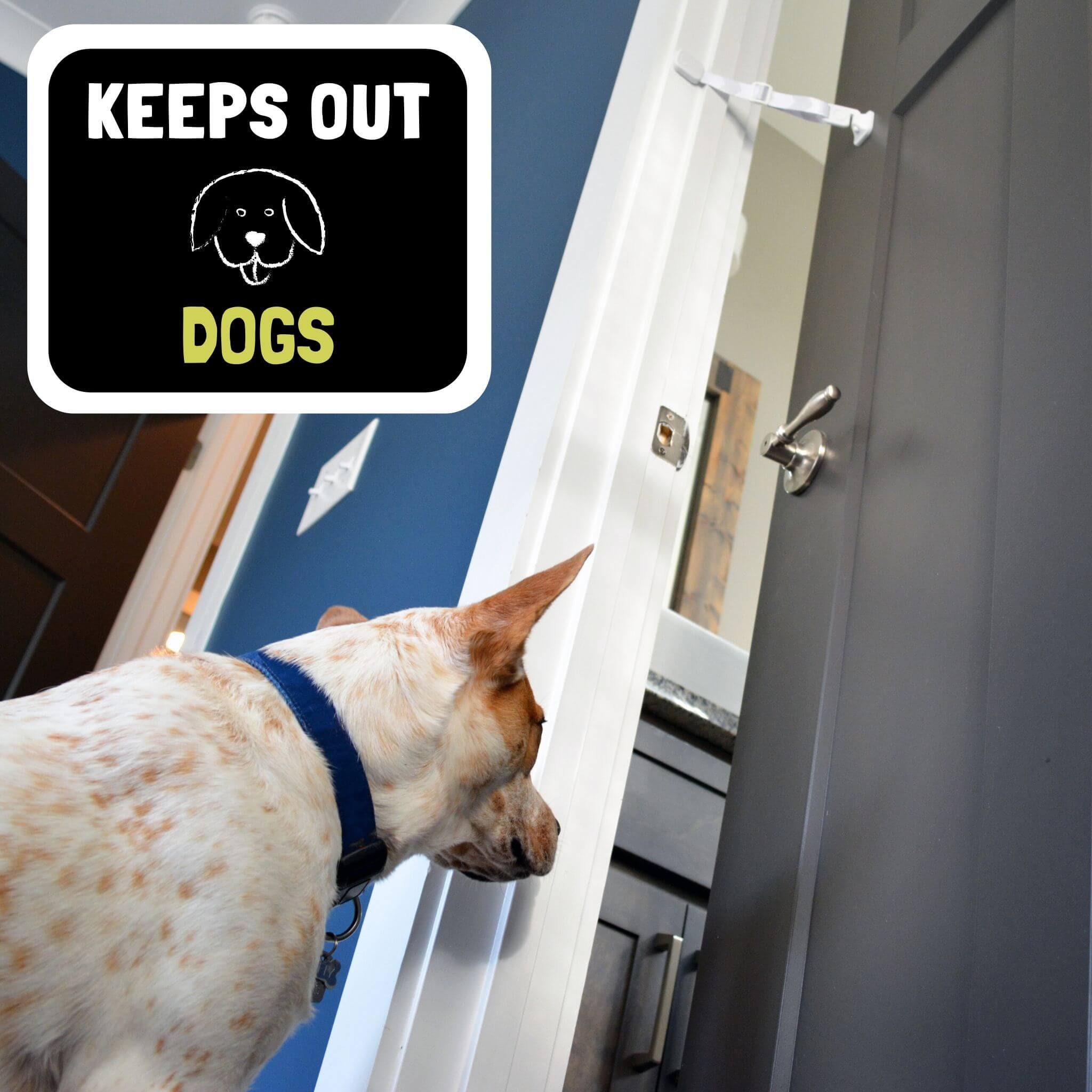 Adjustable Door Strap Cat Latch, Holds Door Open, Keep Dog Out of ...