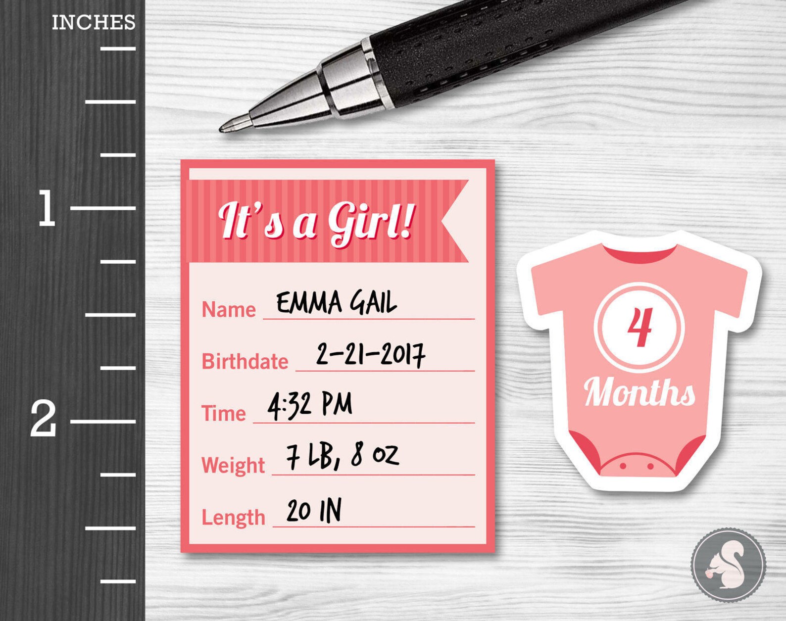 Baby Girl Month Stickers: Planner Stickers, Infant Tracker - Etsy