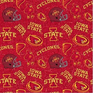 Iowa State or University of Iowa -- SHIPS in 1-2 Business Days ...