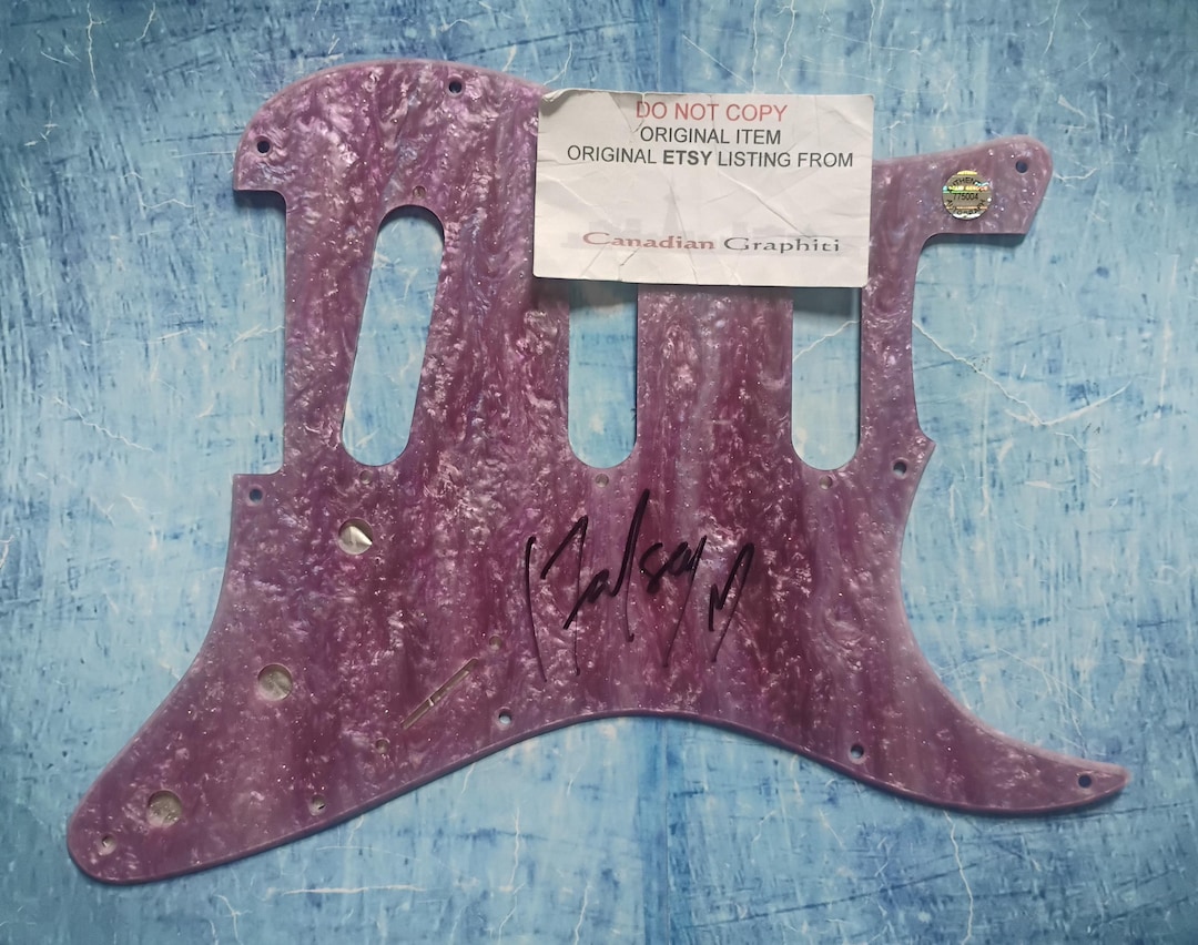 Halsey Hand Signed Autograph Guitar Pick Guard COA - Etsy