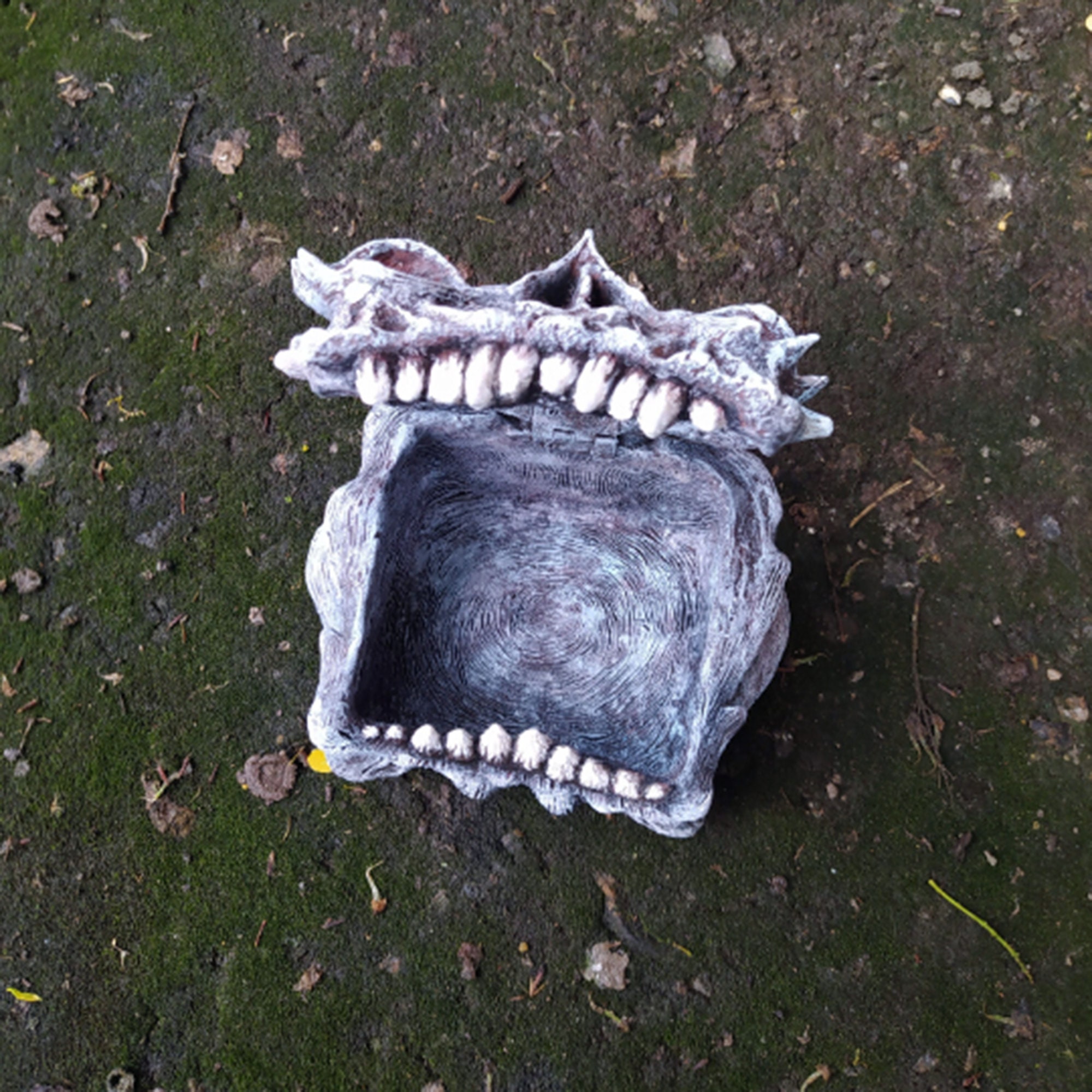 Monster Dice Box, Teeth Skull, Halloween Props, Mystical Home Decor ...