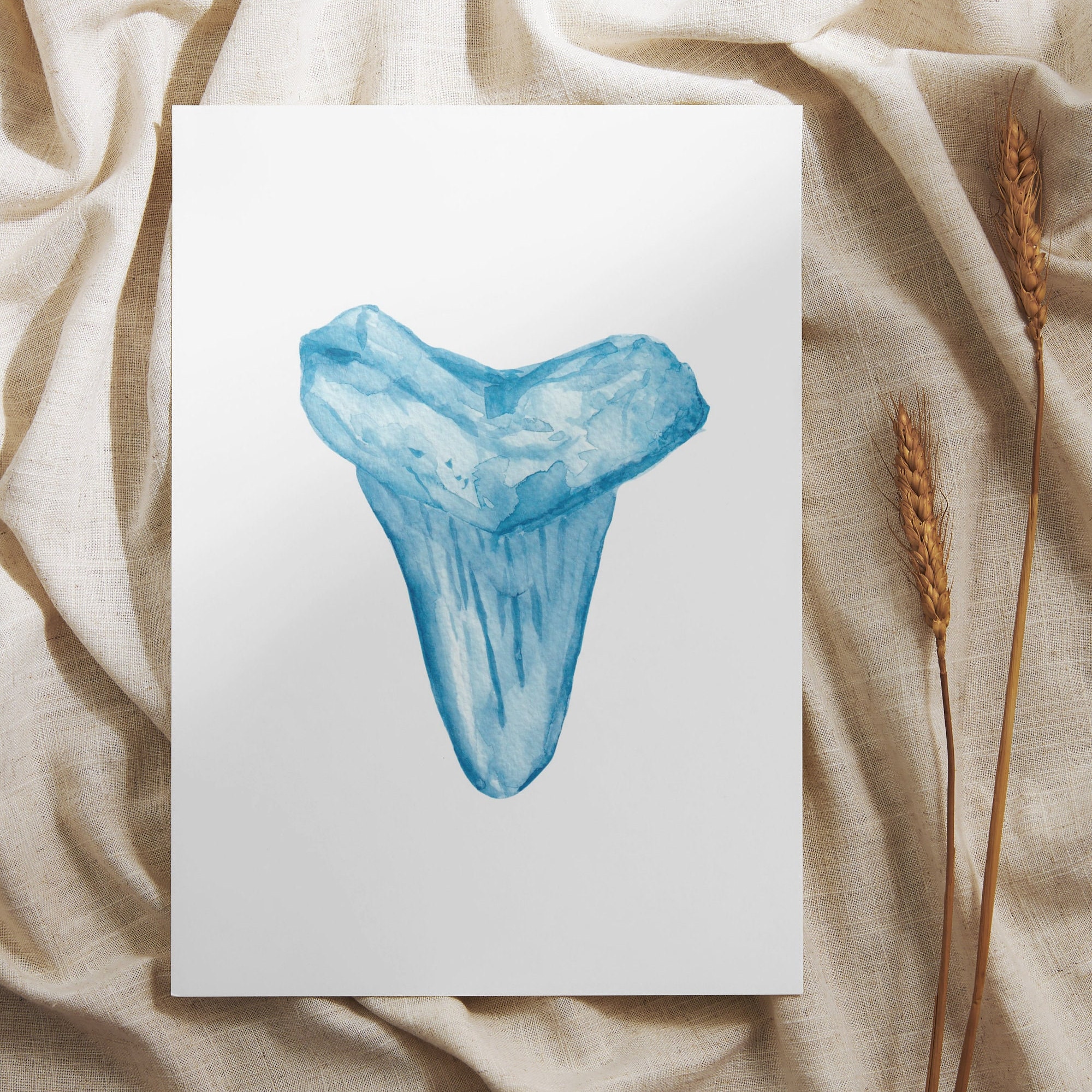 Shark Tooth Wall Art Great White Shark Tooth Painting Blue Watercolor ...