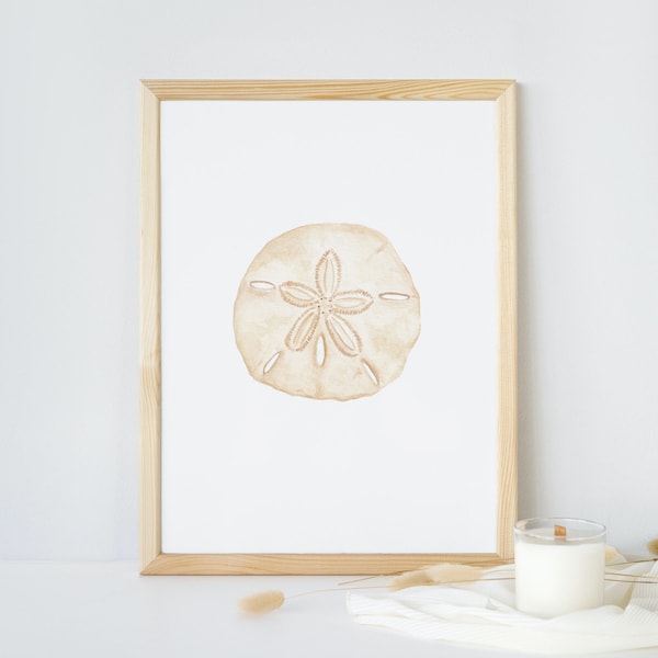 Sand Dollar Art - Etsy