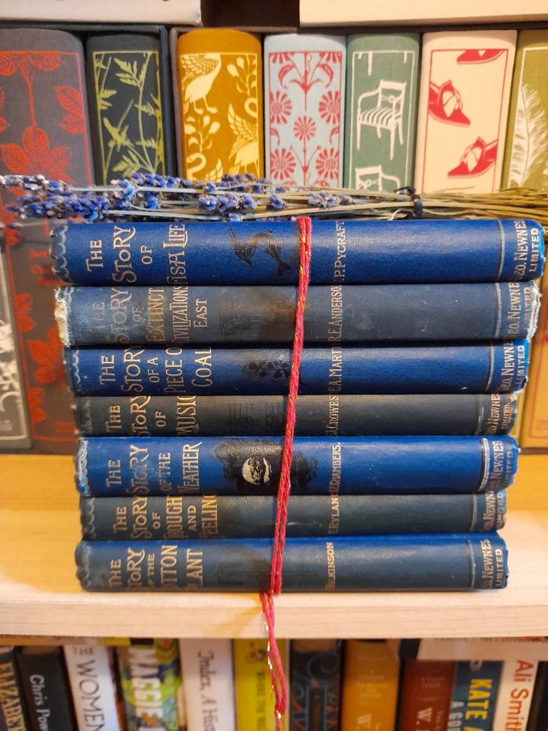 Antique Blue Book Stack the Story of Series of Illustrated - Etsy