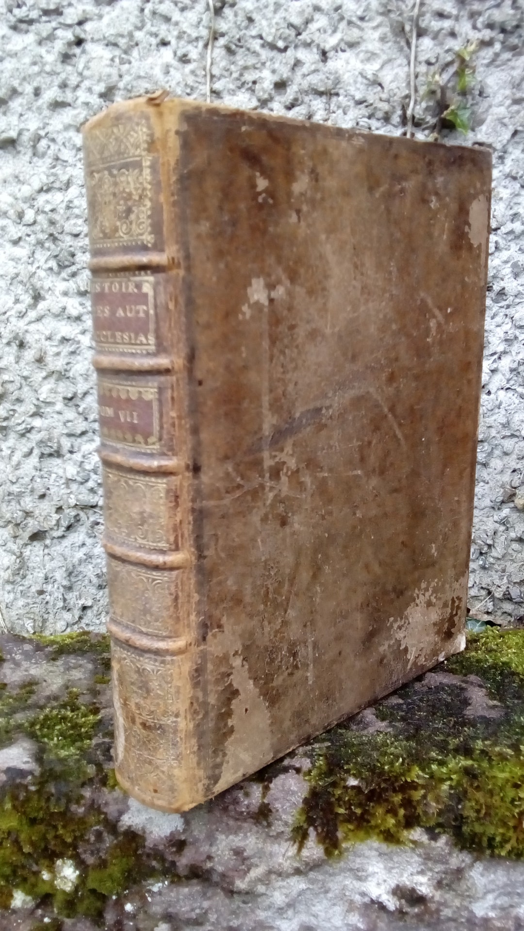 1738, Rare Antiquarian Book, Beautiful Leather Binding, Histoire ...