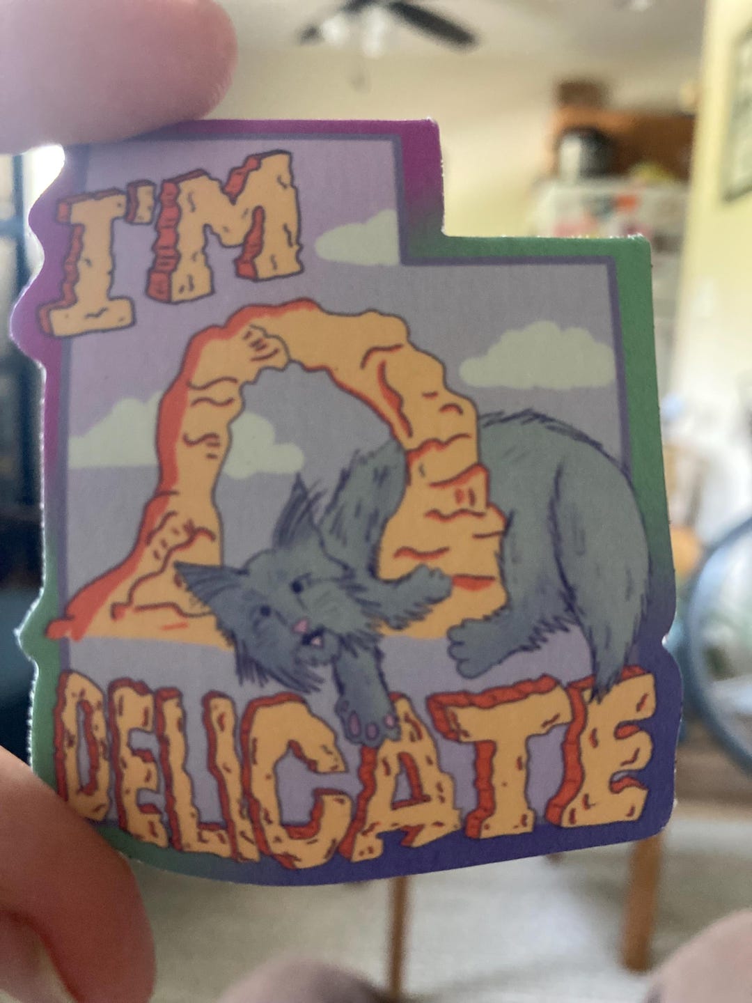 I’m Delicate Arch Utah Cat - Etsy