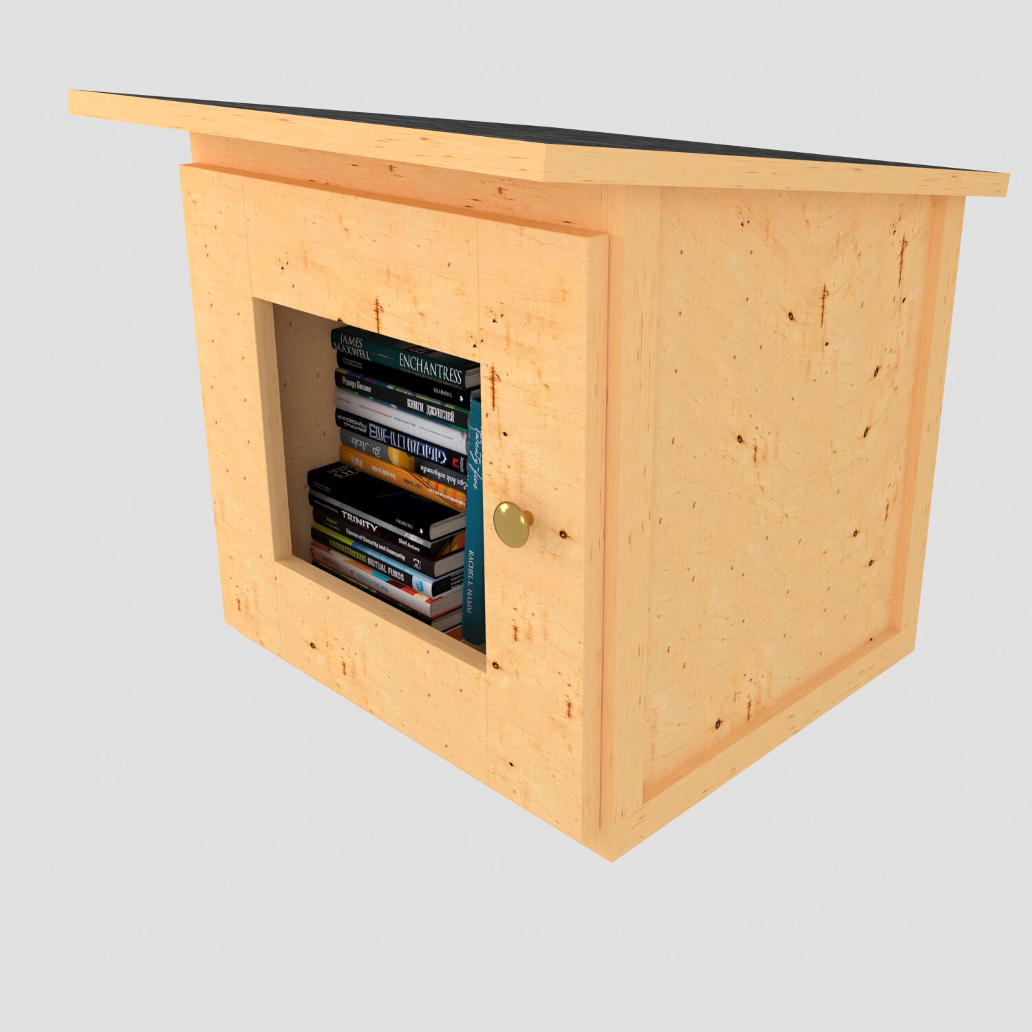 DIY project. Community Library Outdoor Lending Neighborhood | Etsy