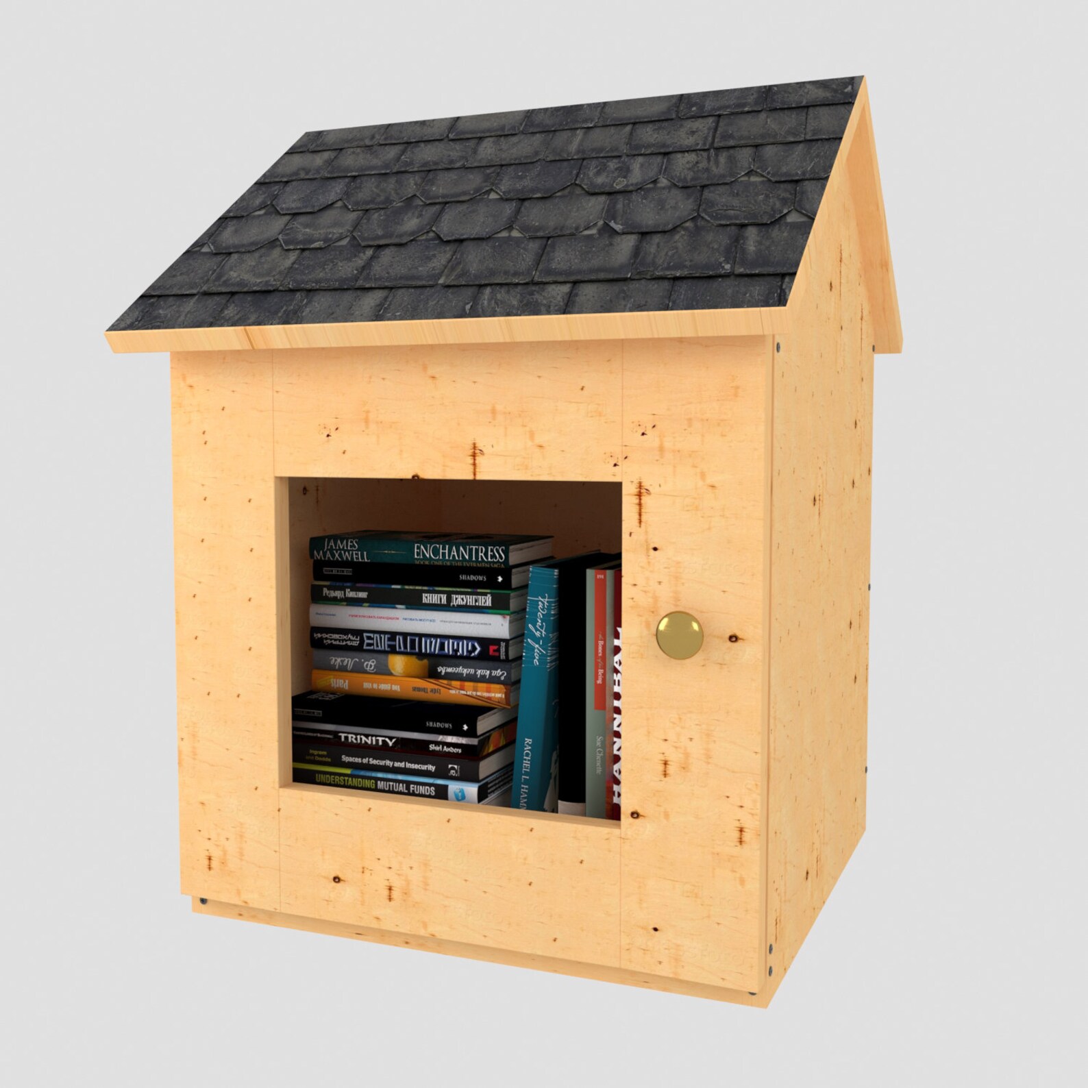 DIY Project. Outdoor Lending Library Community Neighborhood Shared ...