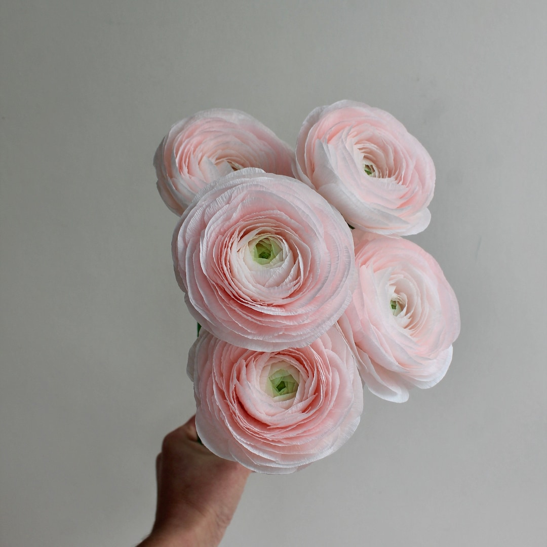 Ranunculus Hanoi, Handmade Paper Flowers - Etsy