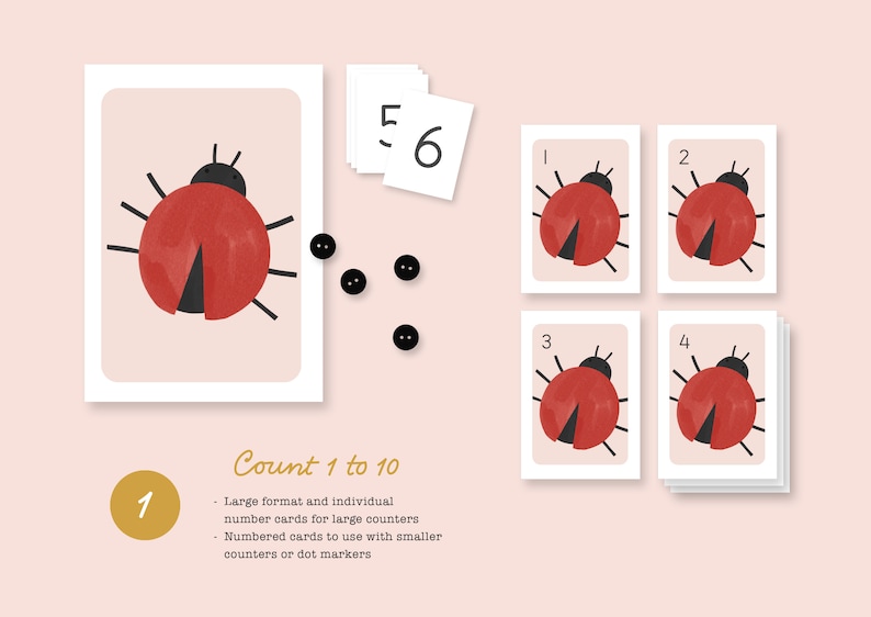 Ladybird Counting Cards | Learning Numbers and Counting From 1 to 10 ...
