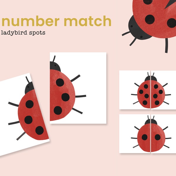 Ladybird Card Games - Etsy