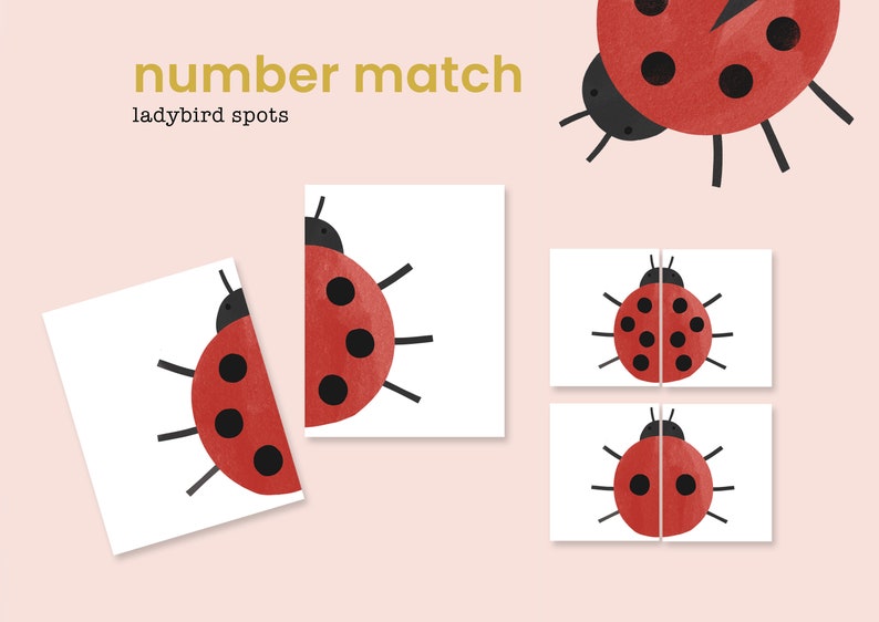 Ladybird Number Matching Cards | Learning Numbers and Learning Counting ...