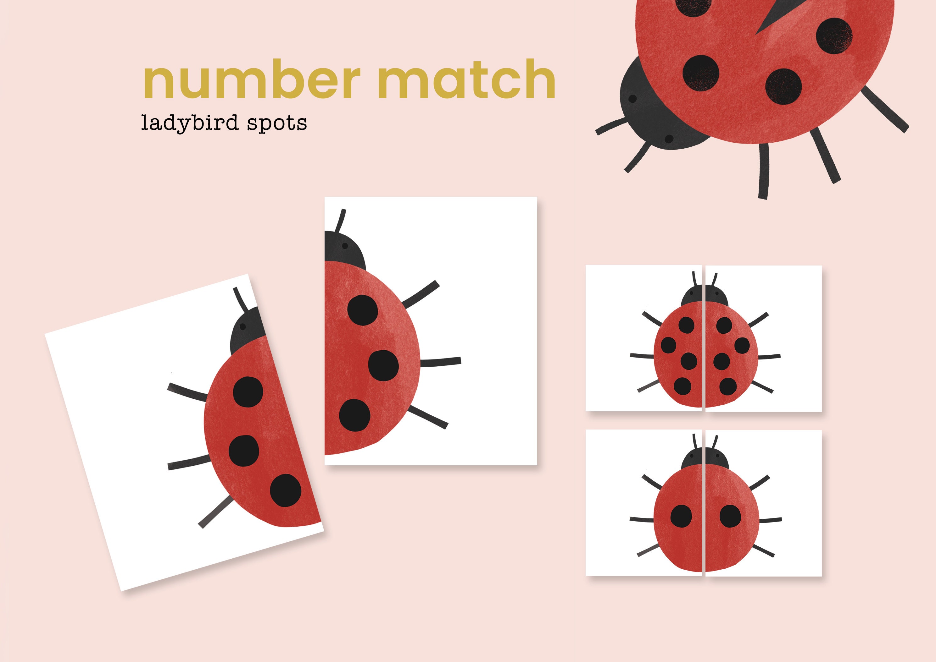 Ladybird Number Matching Cards | Learning Numbers and Learning Counting ...