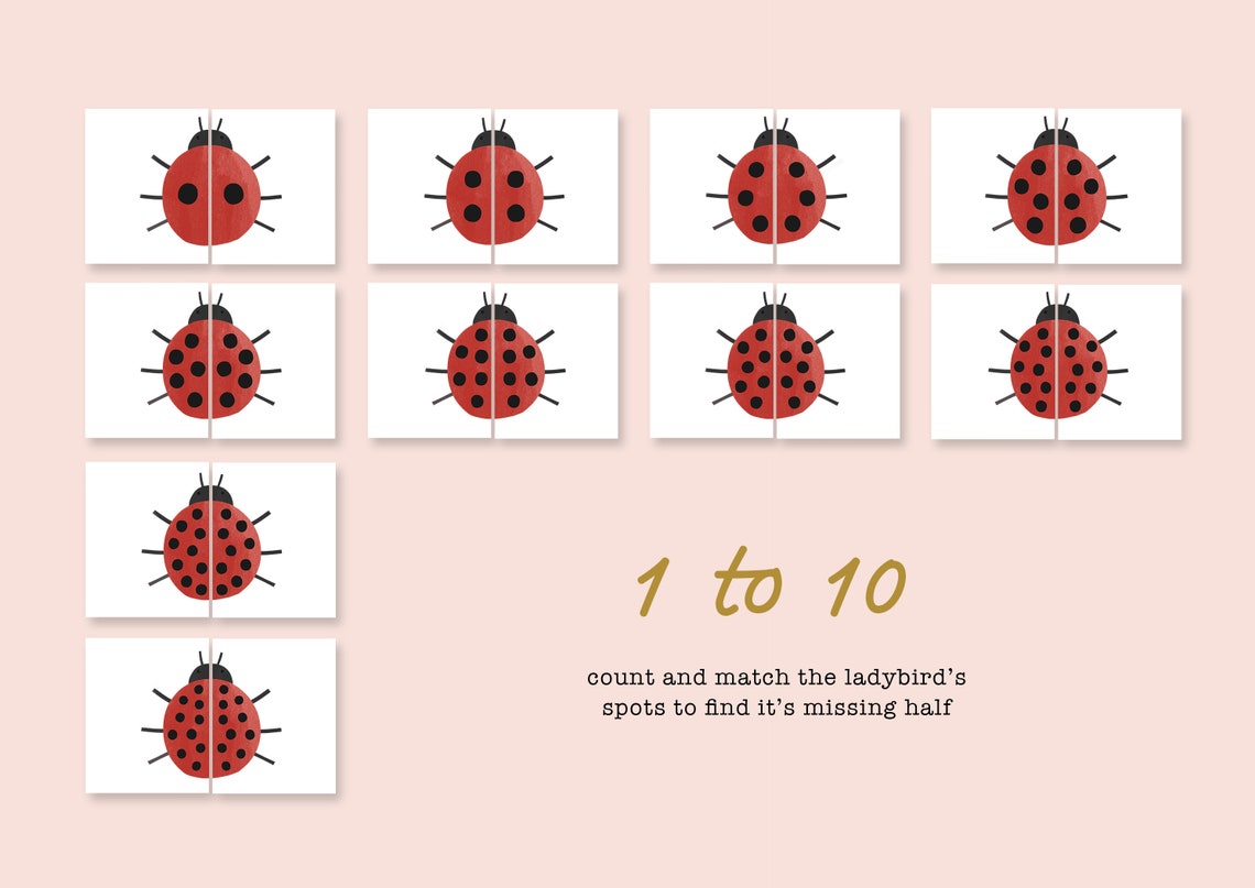 Ladybird Number Matching Cards | Learning Numbers and Learning Counting ...