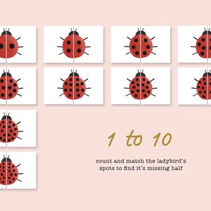 Ladybird Number Matching Cards | Learning Numbers and Learning Counting ...