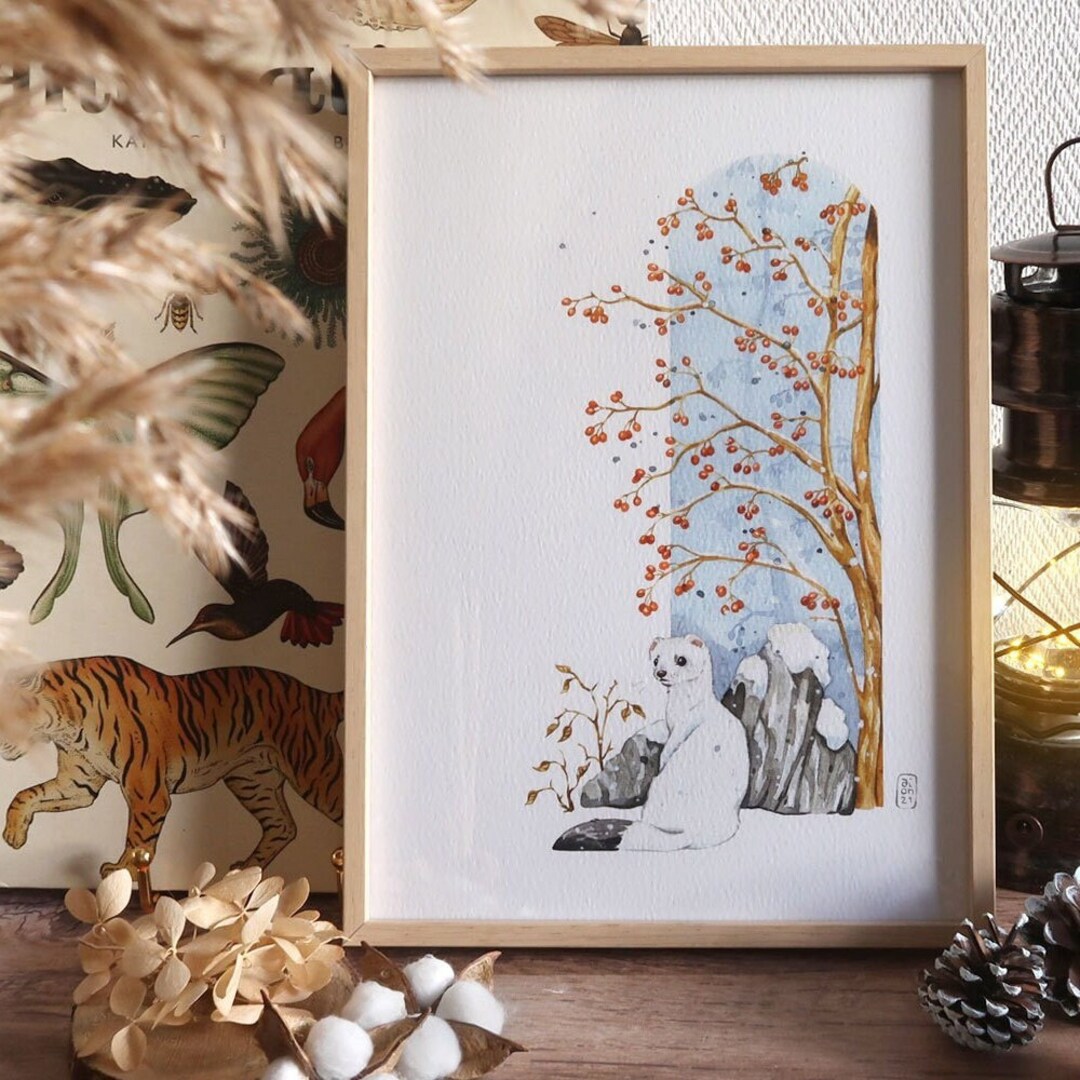 Watercolor Illustration - Ermine in Winter Coat - to Frame - Art Print ...