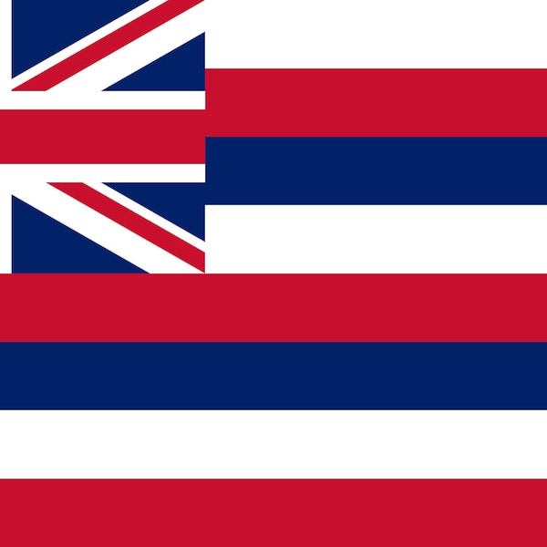 Hawaii State Flag - Etsy