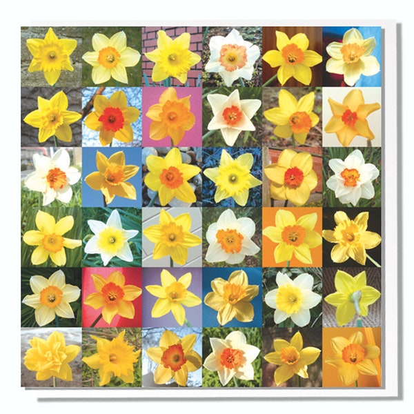 Daffodils Card - Etsy