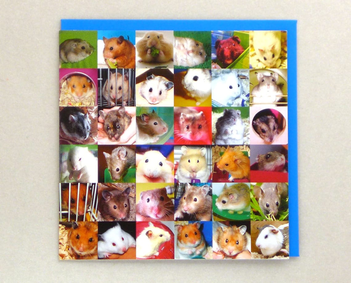 Cute Hamsters Card - Etsy UK