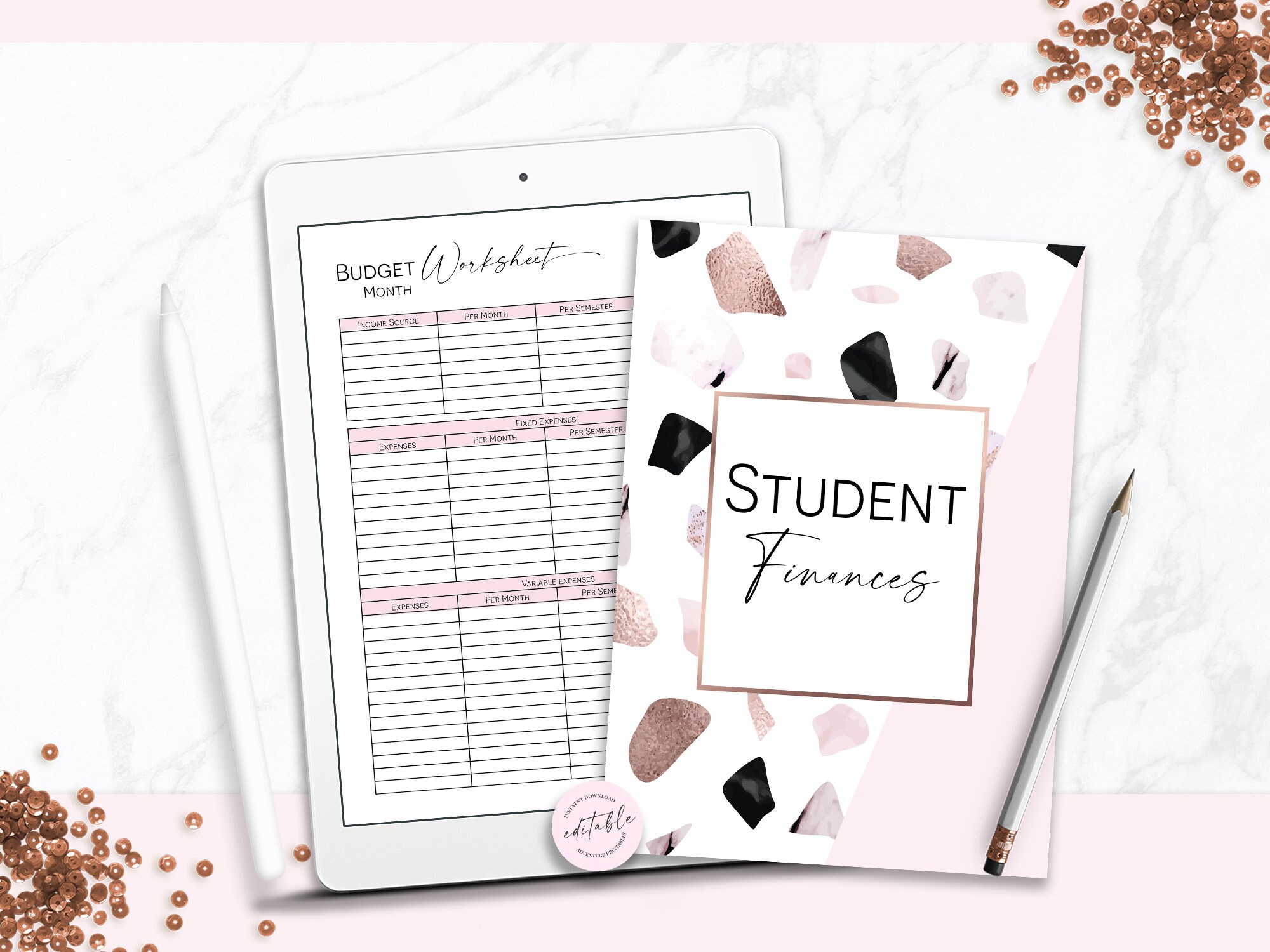 Student Finance Planner, Student Planner, Student Money Management - Etsy