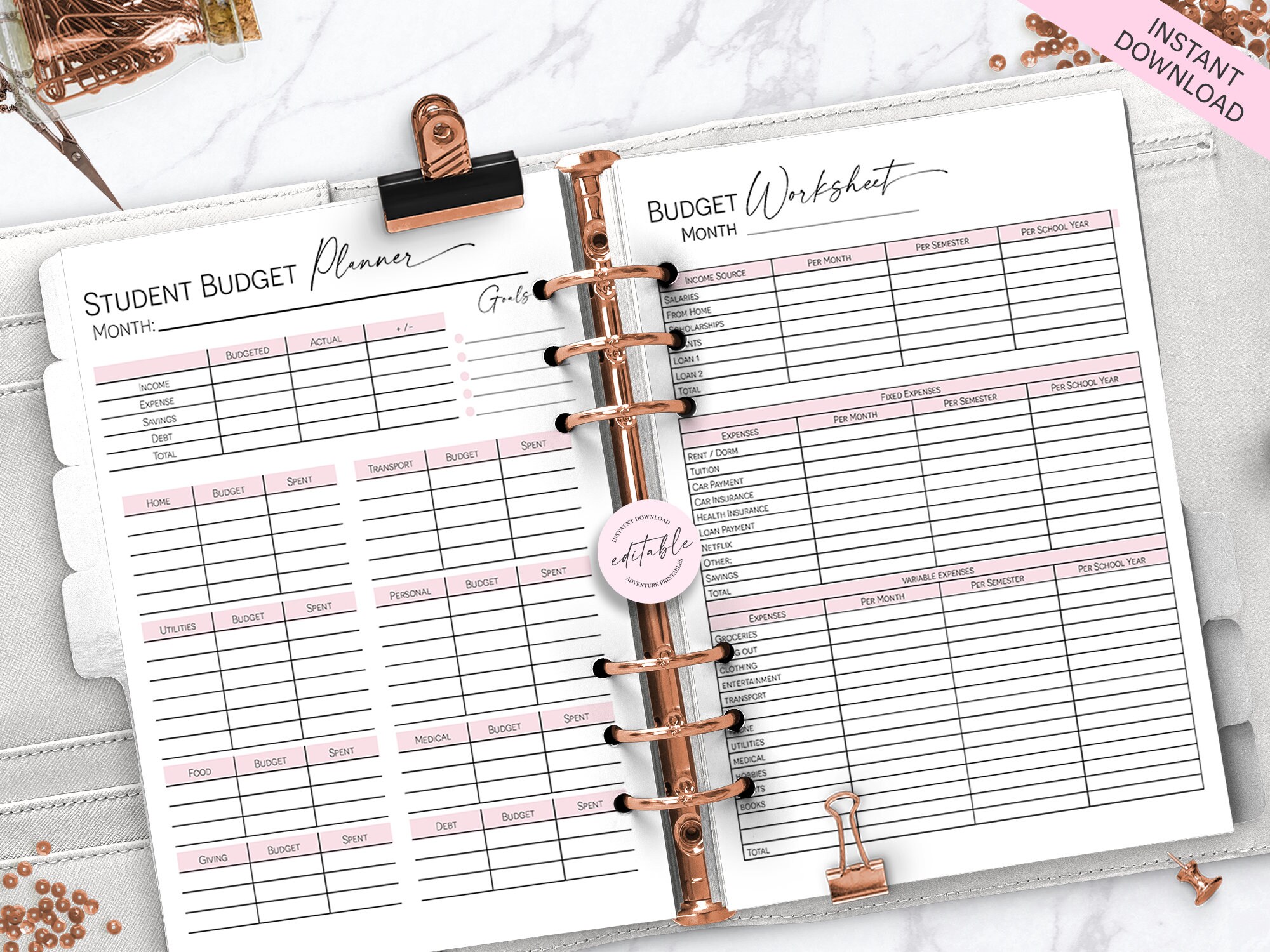 Student Finance Planner, Student Planner, Student Money Management - Etsy