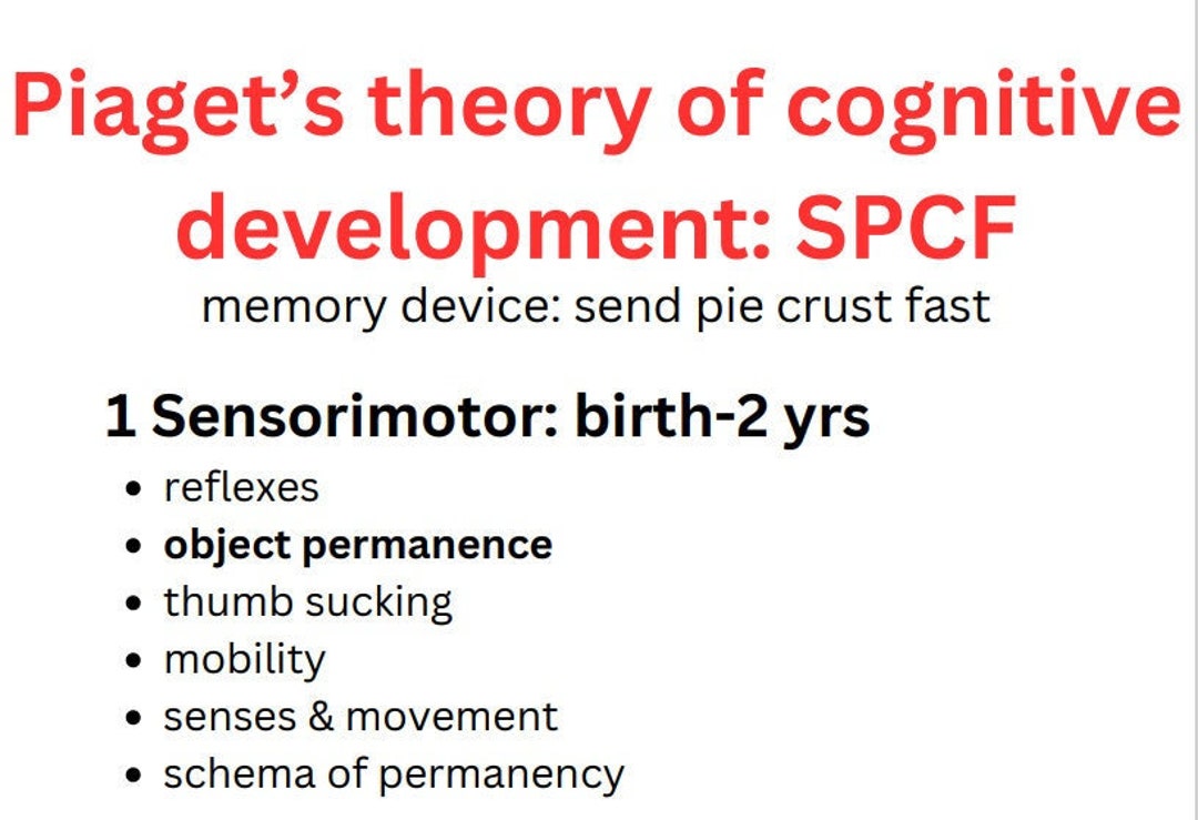 NCE Study Human Development - Etsy