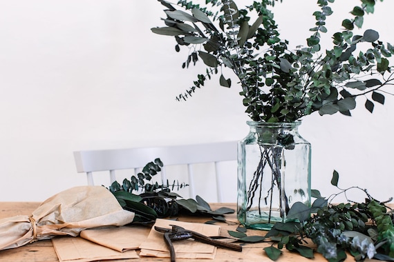 Preserved Eucalyptus Bouquet With Strong Branches | Etsy