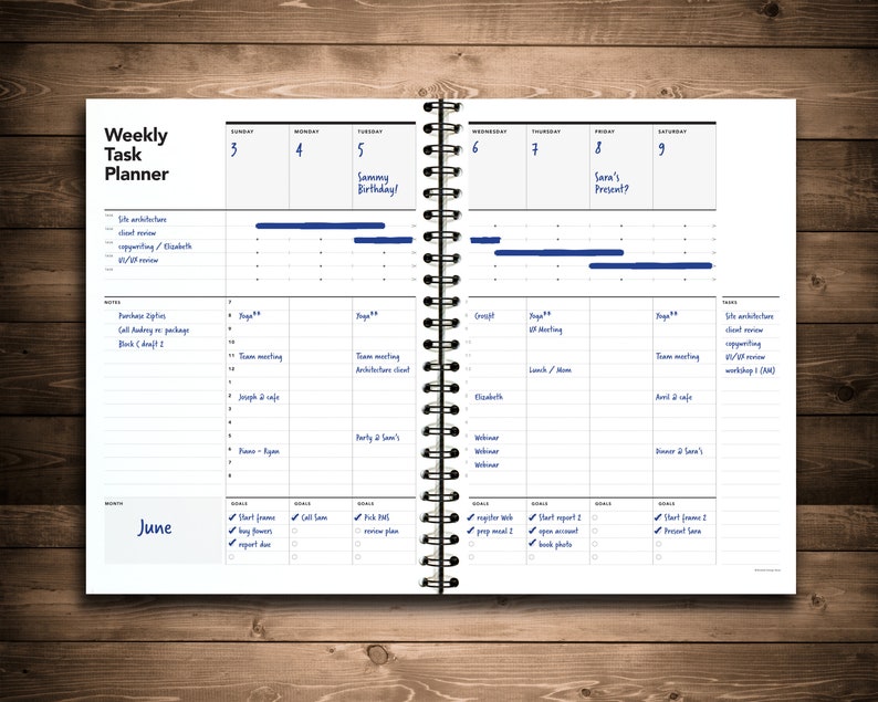 Weekly Task Planner Weekly Agenda Week Planner Printable - Etsy