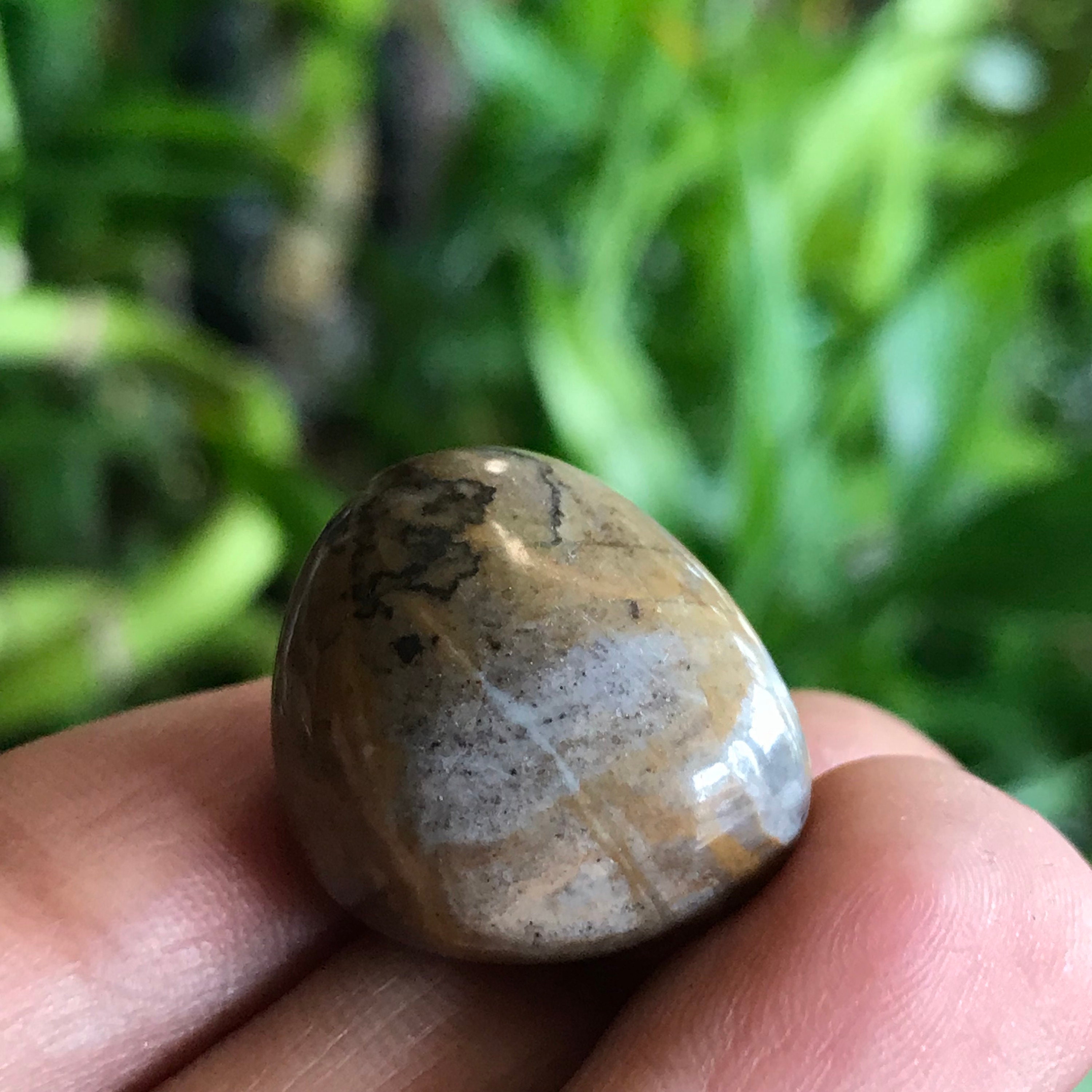 Picasso Jasper Tumbled - Etsy