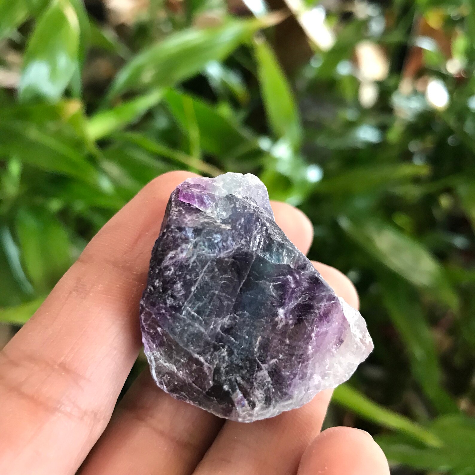 Raw Flourite - Etsy