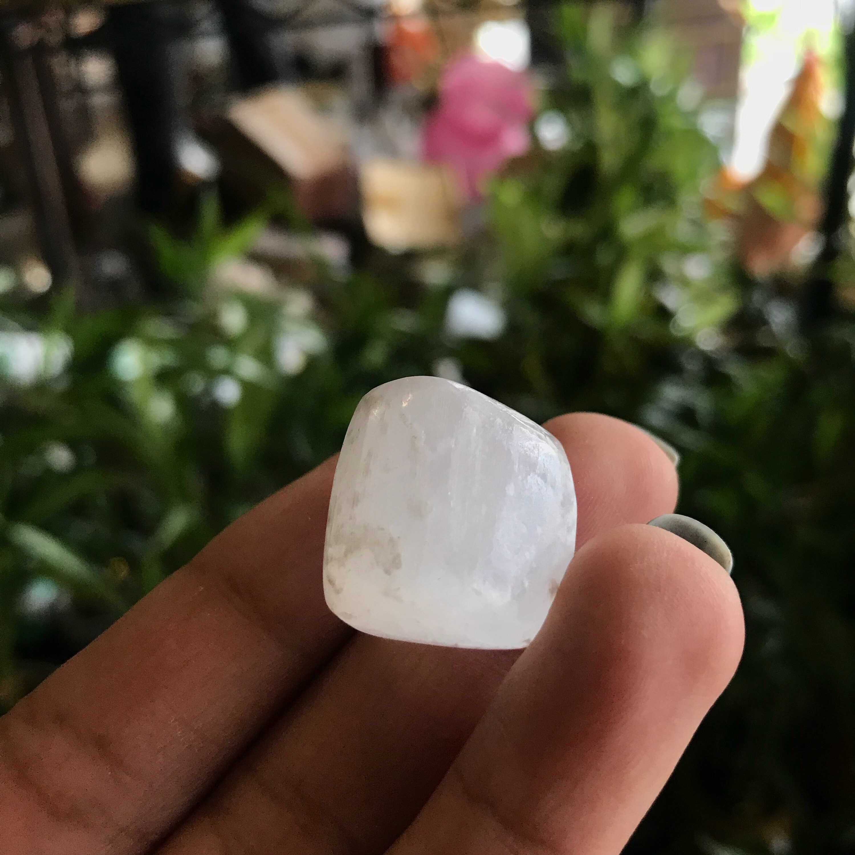 Tumbled Selenite - Etsy