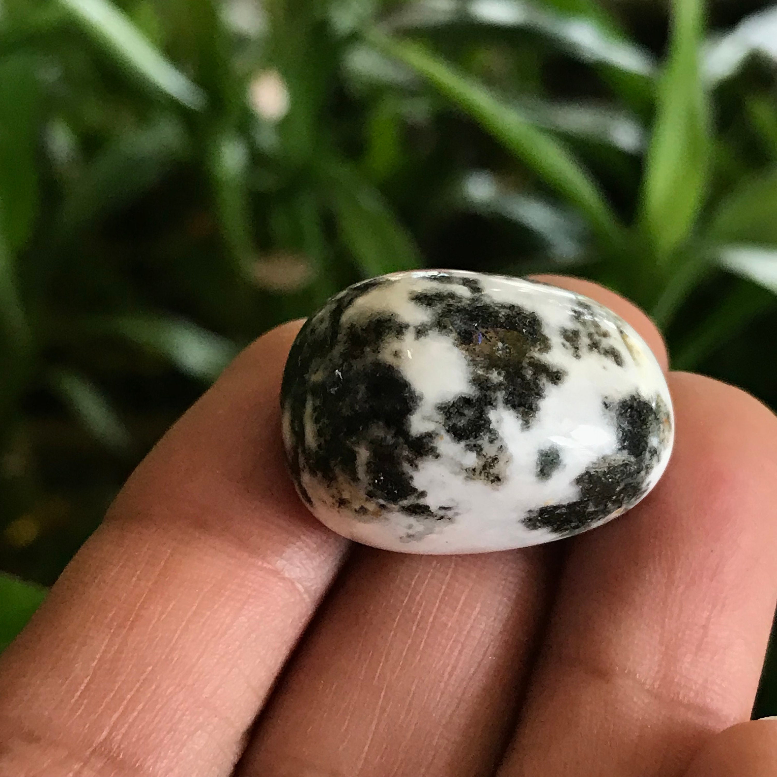 Tree Agate Tumbled - Etsy