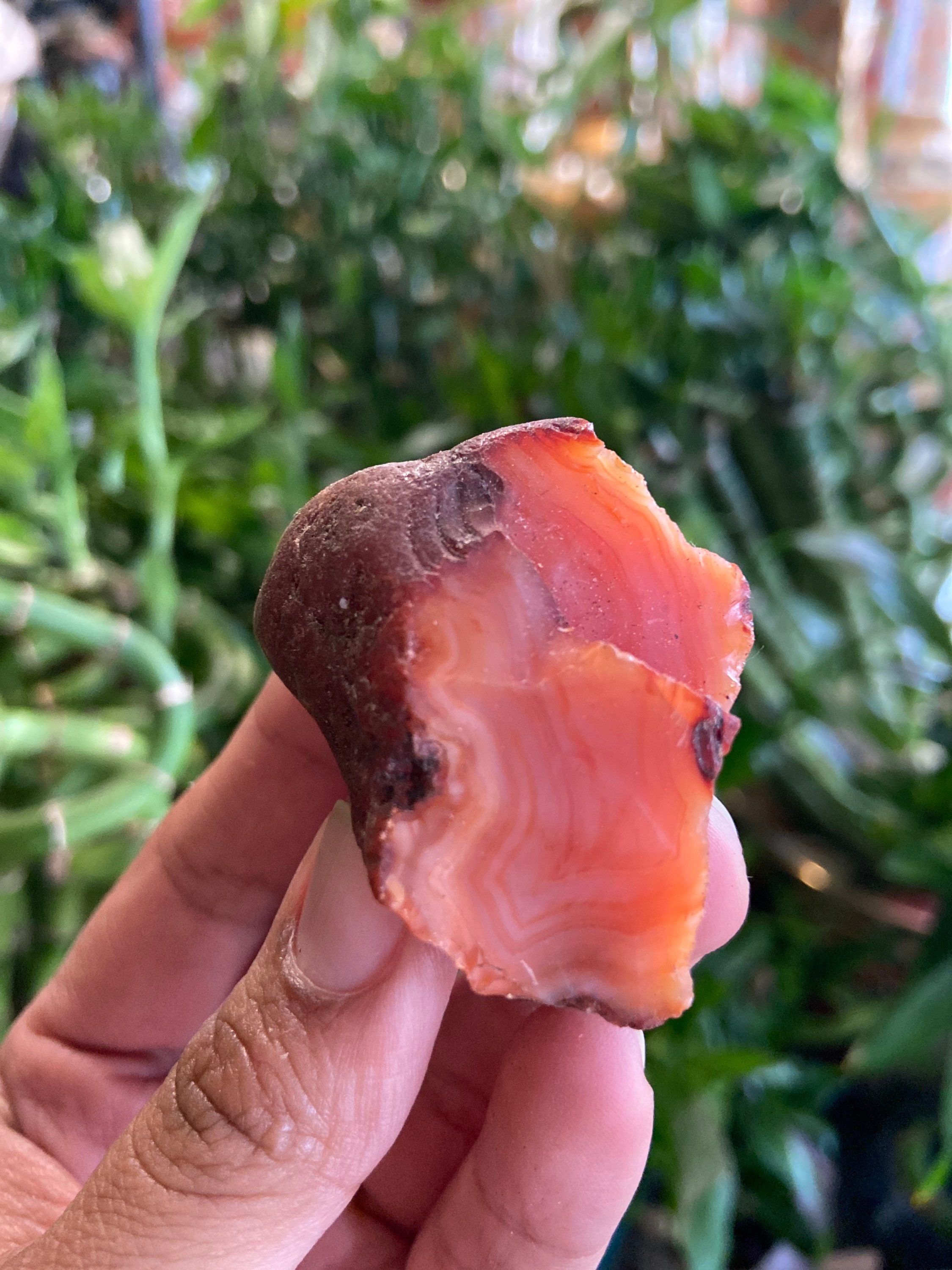 Carnelian Raw - Etsy