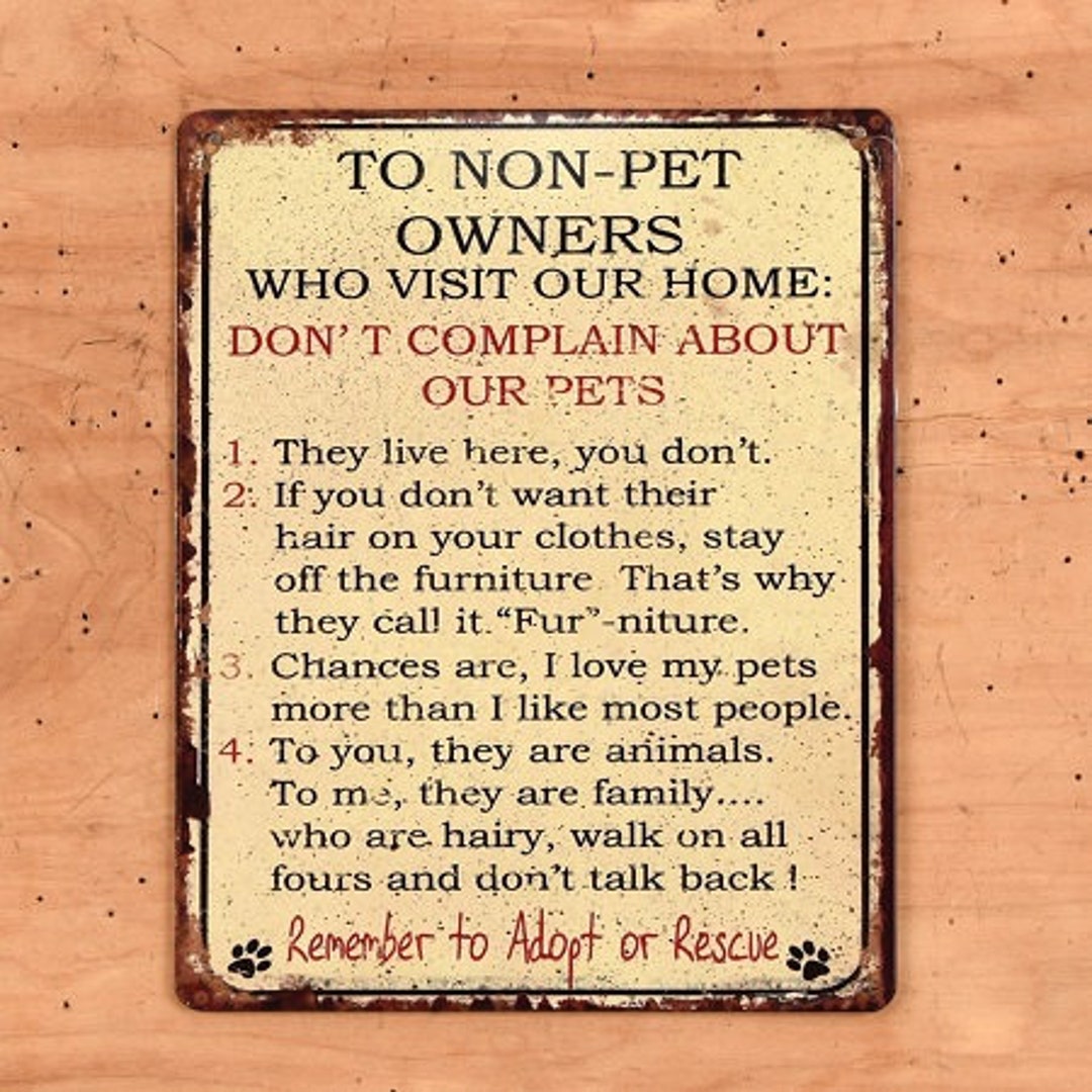 Funny Pet Signs for Wall, Stocking Stuffers for Cat Lovers Christmas ...