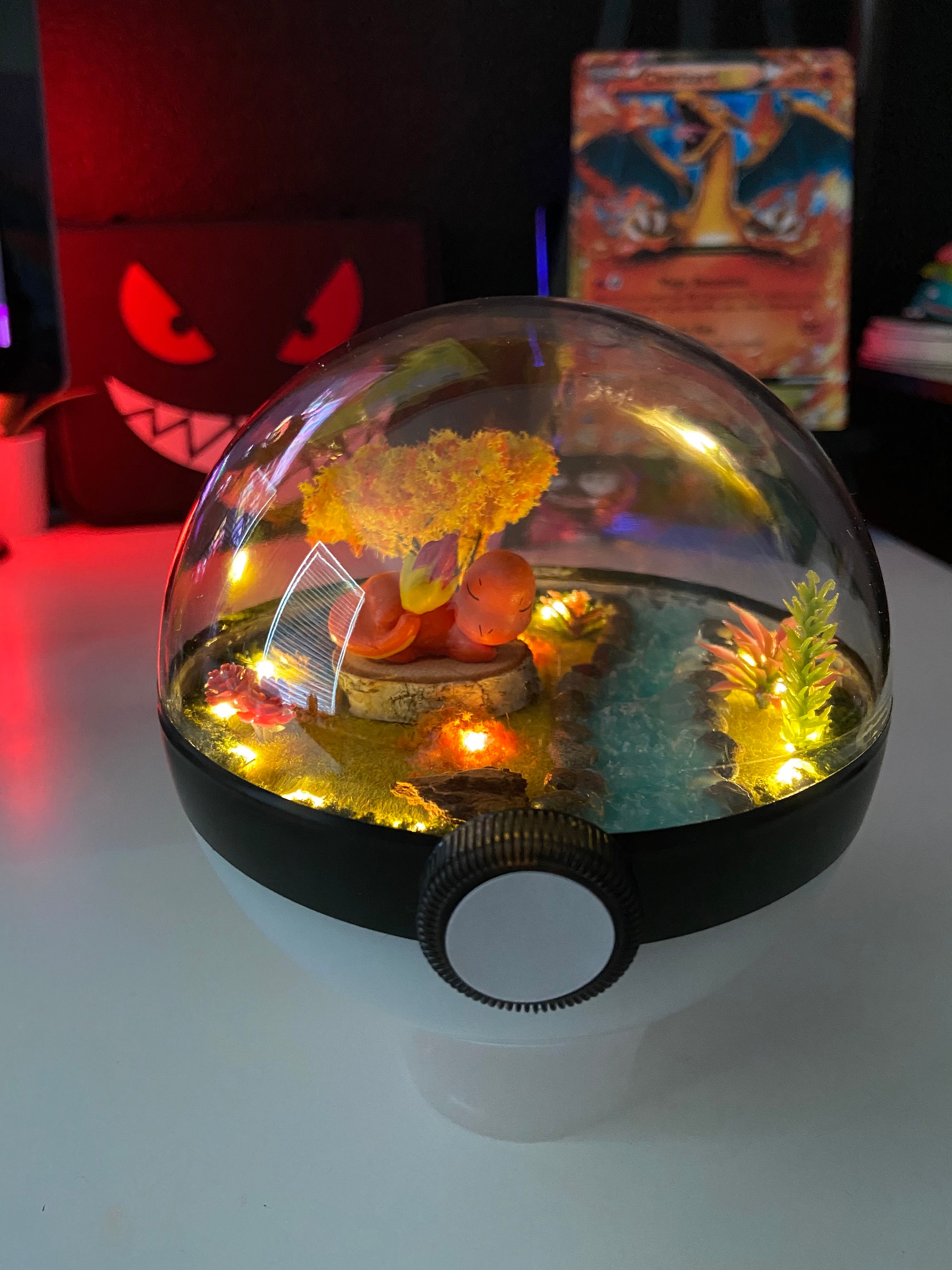 Charmander XL w LED Lights Pokemon Terrarium Pokeball | Etsy