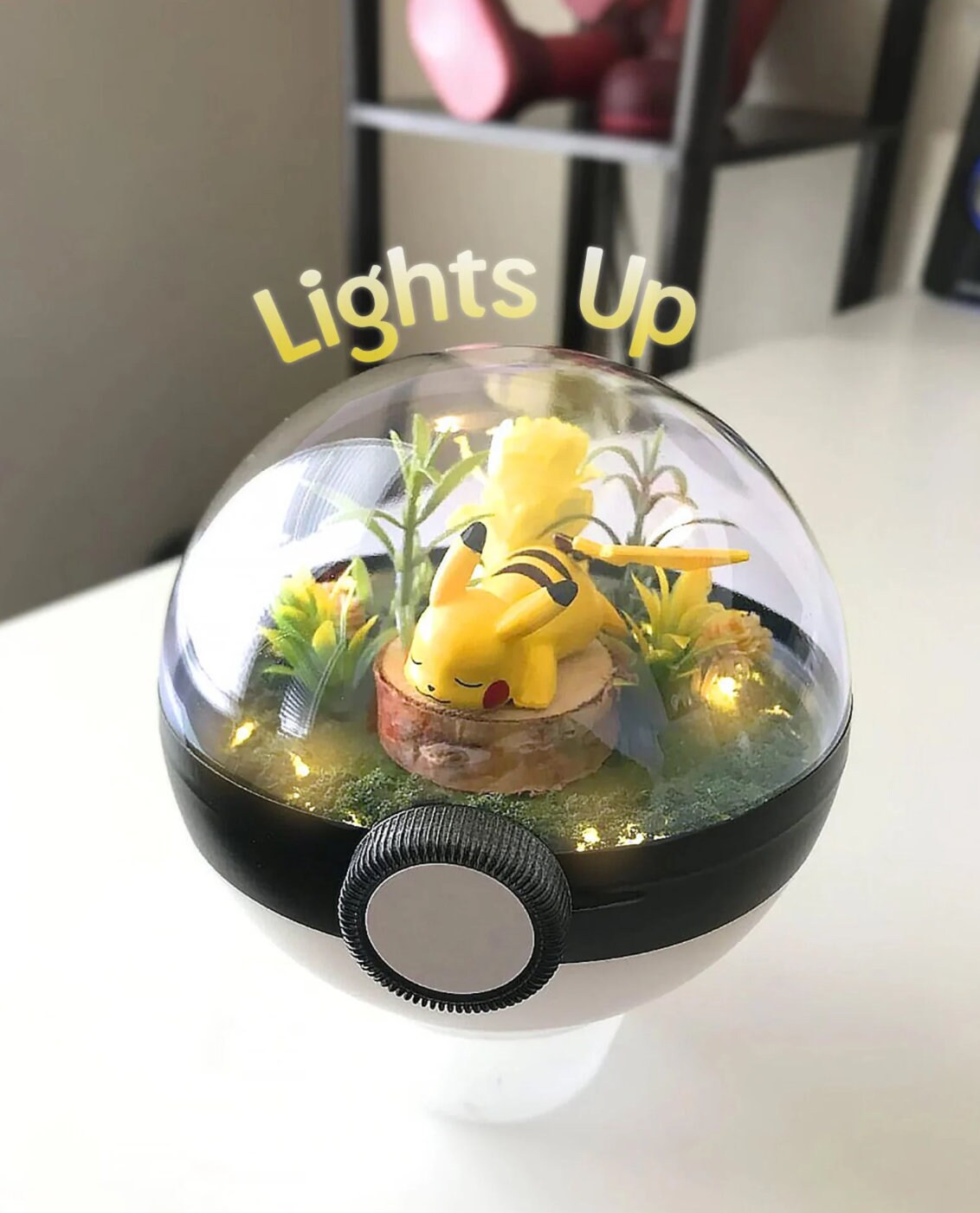 Pokemon Terrariums - Choose Your Starter - Pikachu - Charmander ...