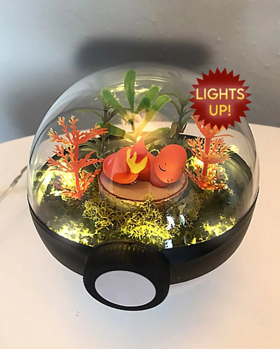 Pokemon Terrariums - Choose Your Starter - Pikachu - Charmander ...