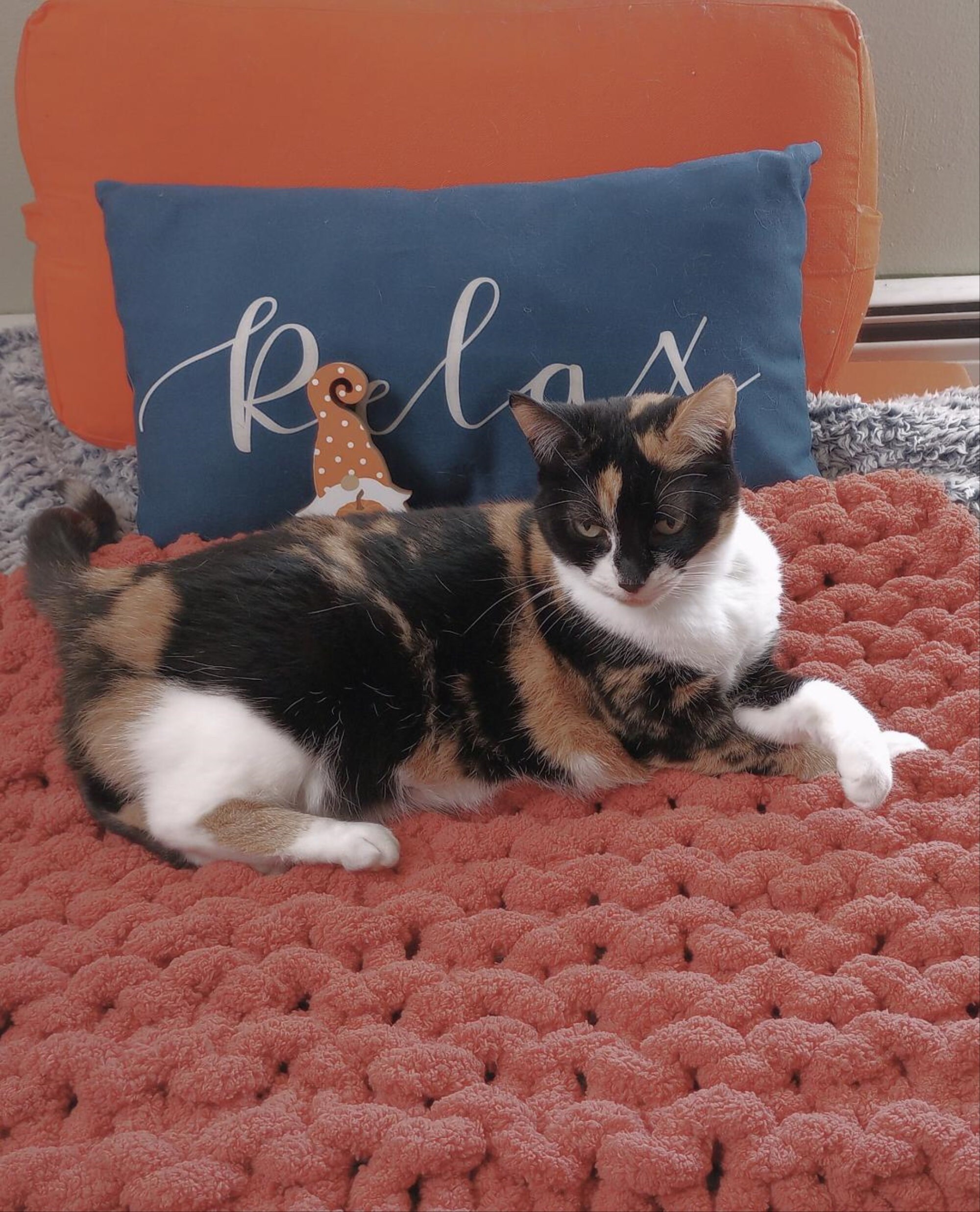 Fall Pumpkin Snuggle BLANKET With Free Gift - Etsy