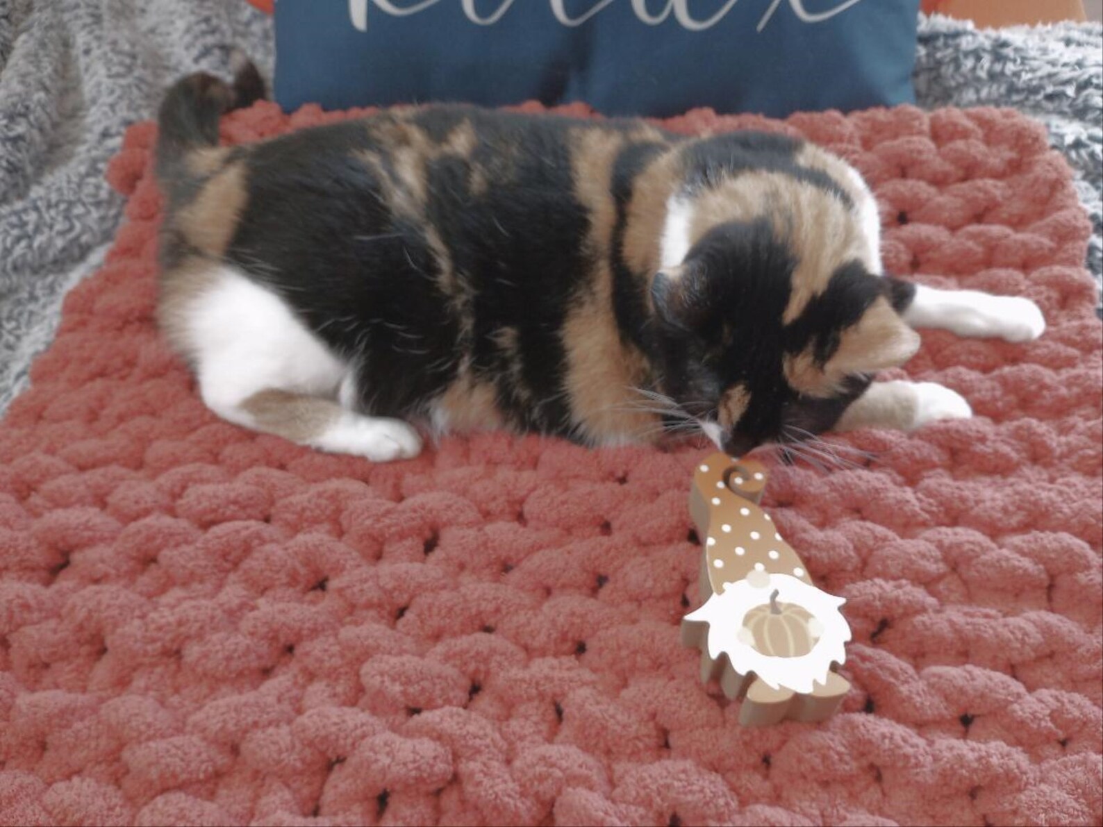 Fall Pumpkin Snuggle BLANKET With Free Gift - Etsy