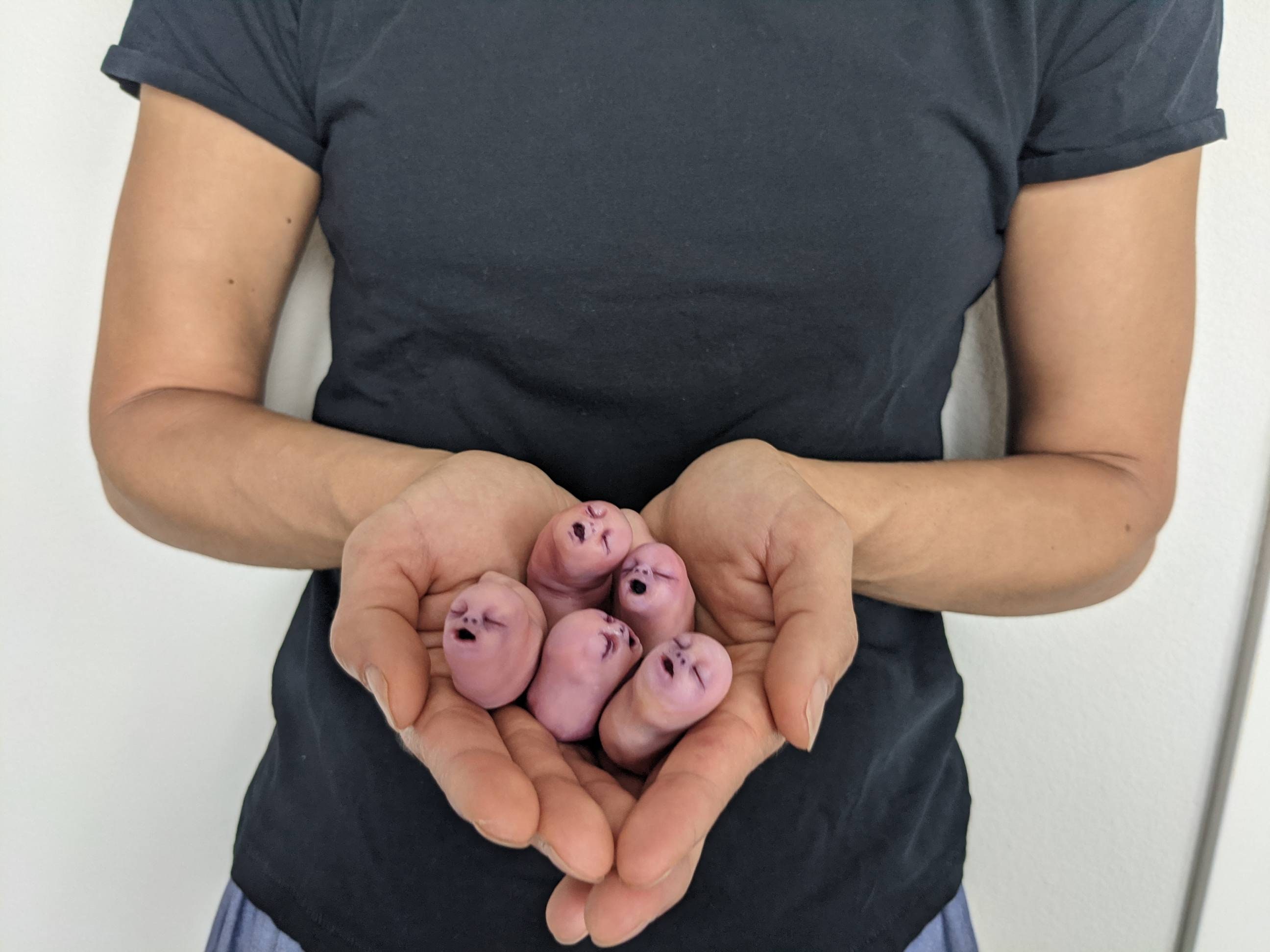 Polymer Clay Creepy Cute Weird Figurines/ Baby Nuggets - Etsy