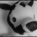 Cow Puppet Pattern - Etsy