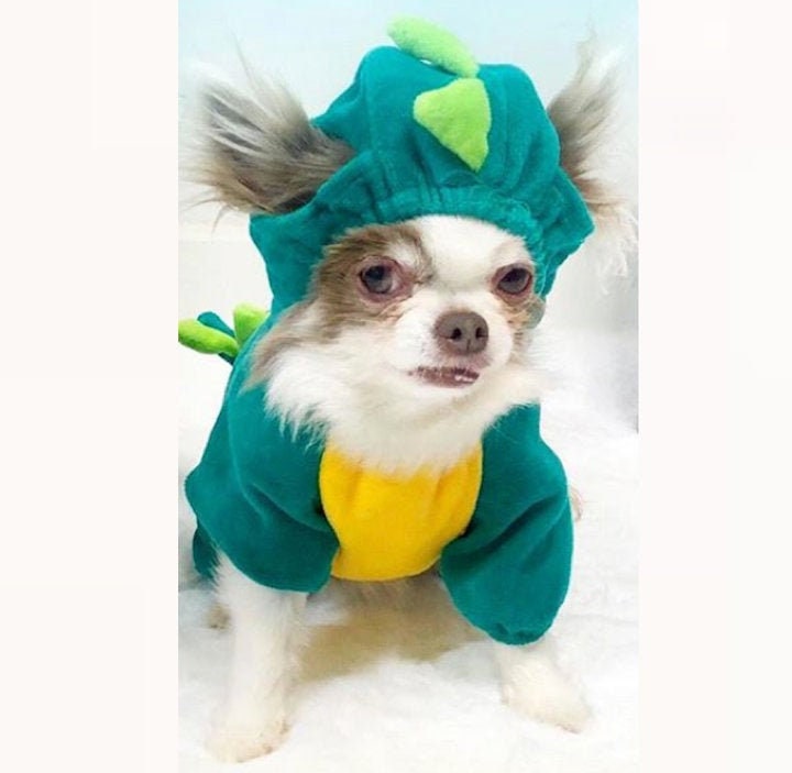 Reptar Costume