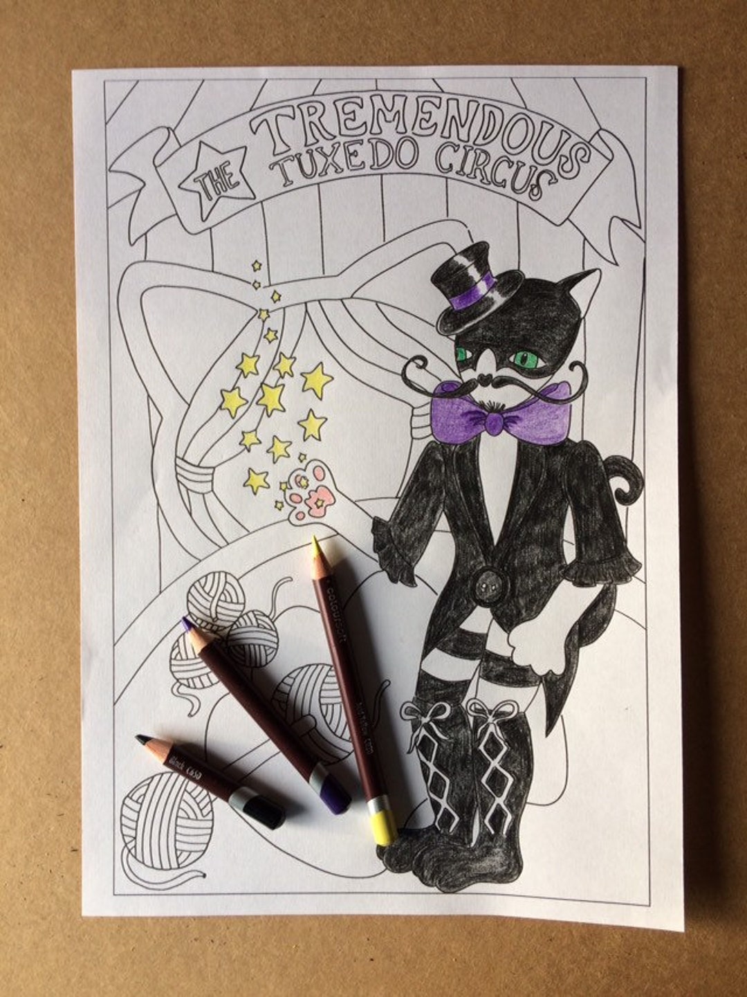 Cat Ringmaster Vintage Circus Colouring Page - Etsy