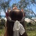 Coral Queen Shell Crown - Etsy