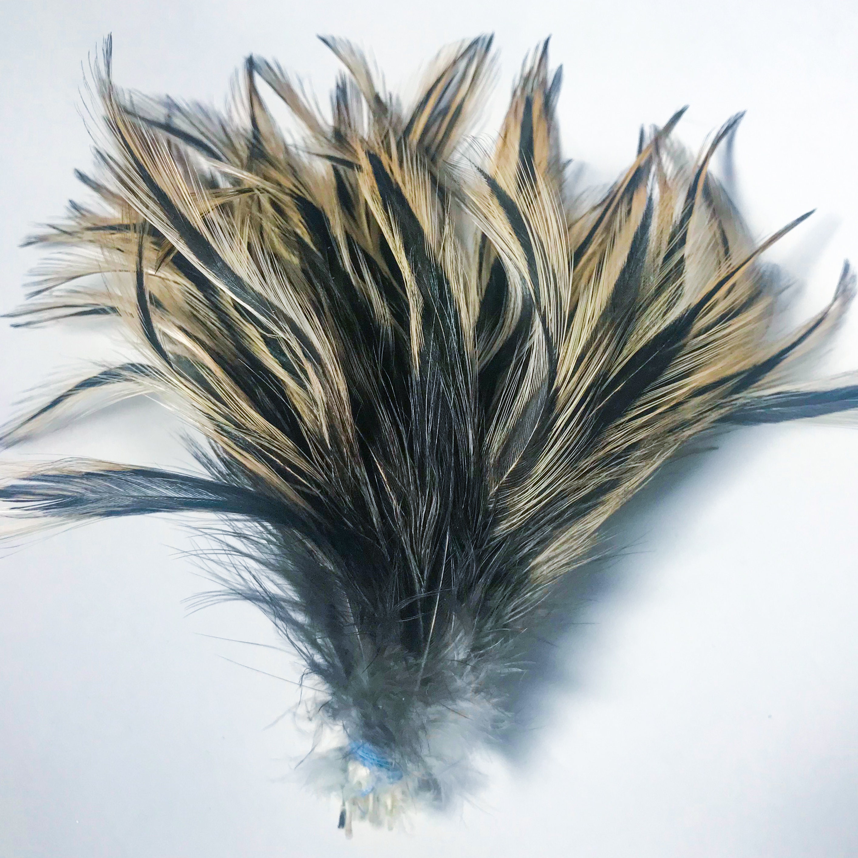 Natural Feathers Long Shiny and Silky Wholesale Feathers - Etsy UK