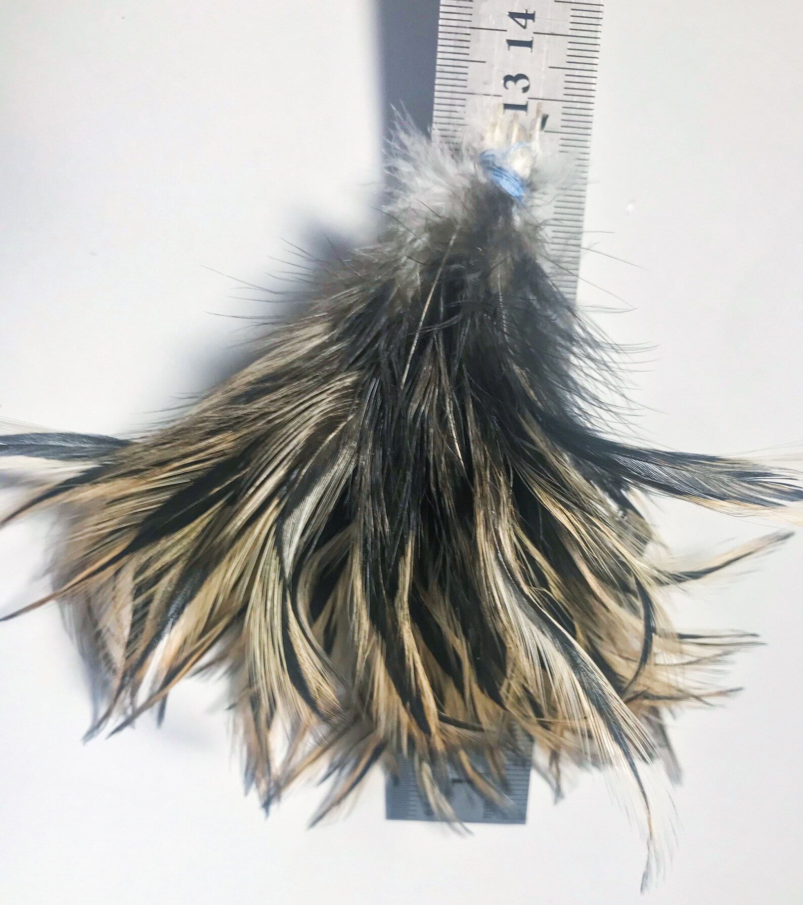 Natural Feathers Long Shiny and Silky Wholesale Feathers - Etsy UK