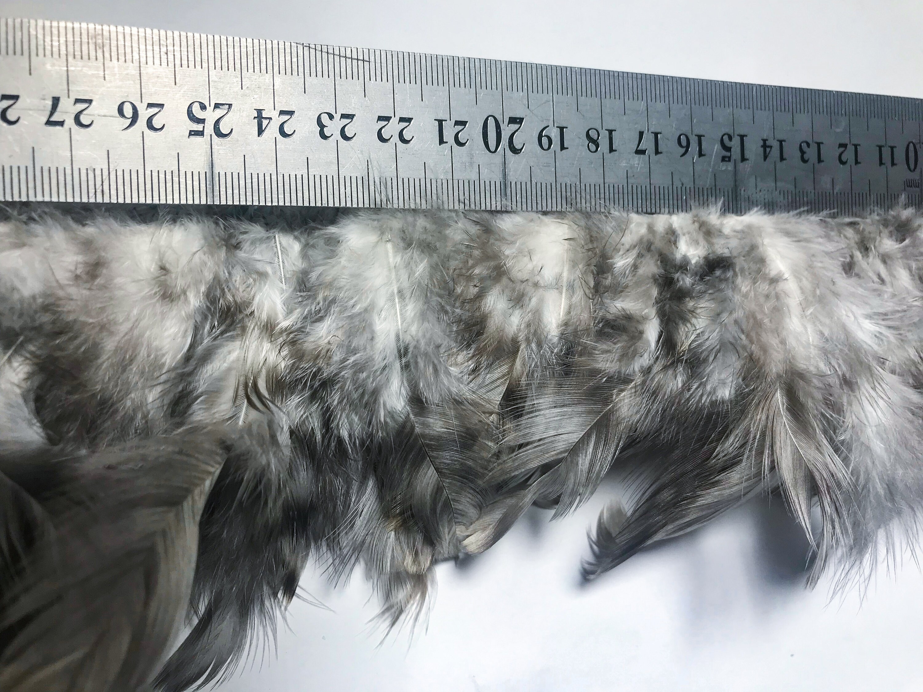 Natural Grey and Cream/white Feather Strip, Wholesale Feathers - Etsy