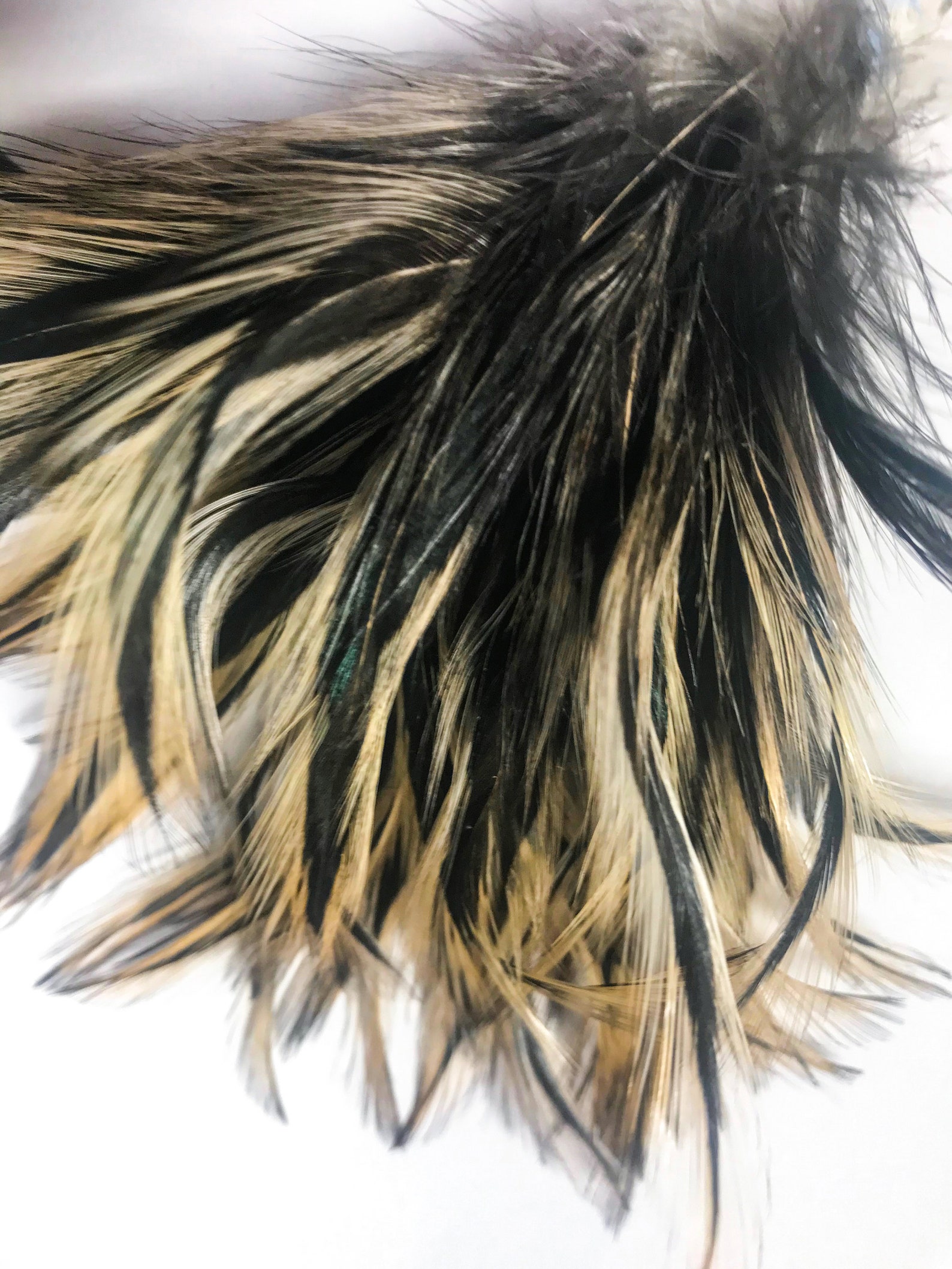 Natural Feathers Long Shiny and Silky Wholesale Feathers - Etsy UK